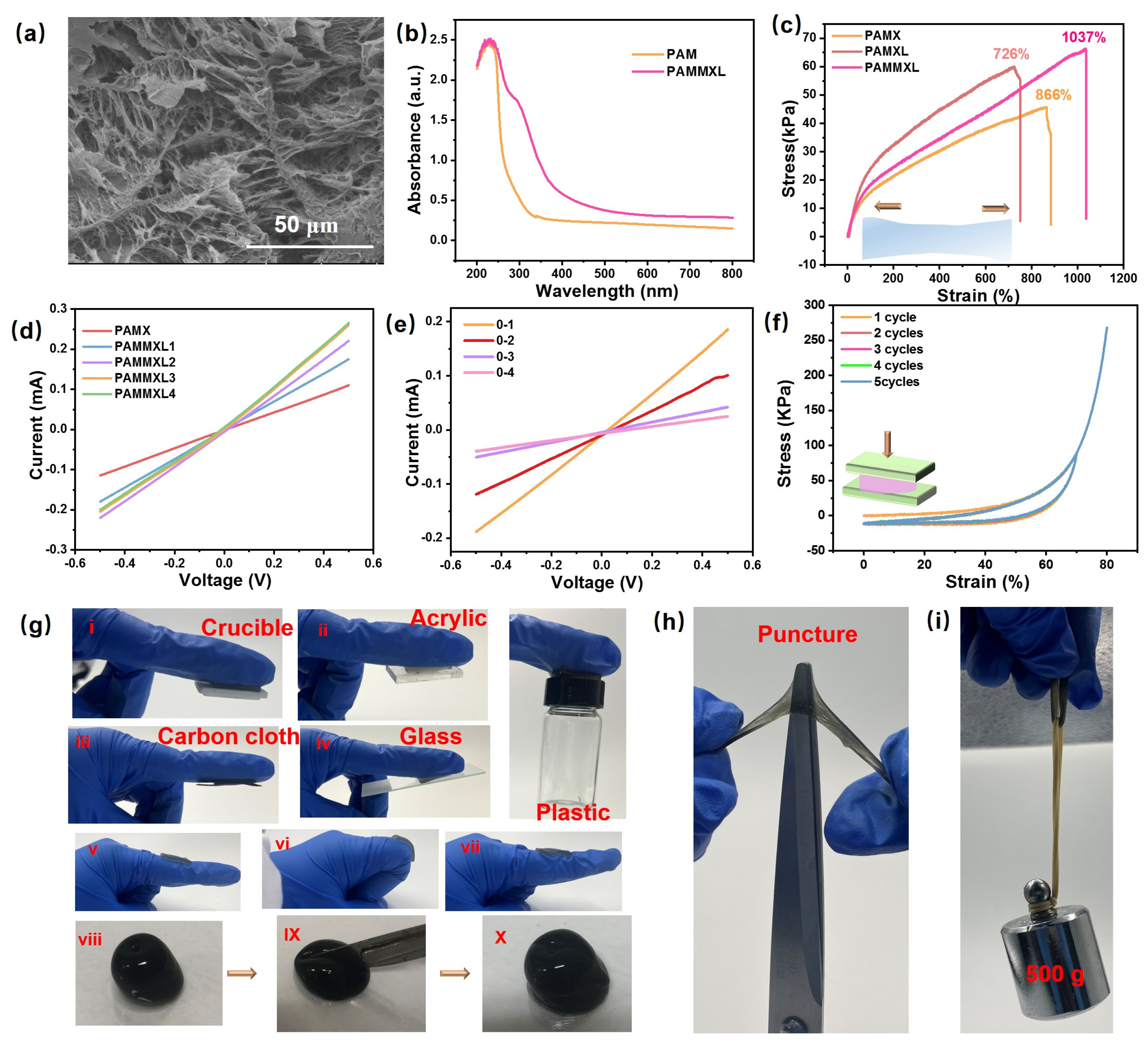 Highly Sensitive MXene/MMT-Based Hydrogel for Wearable Sensors and ...