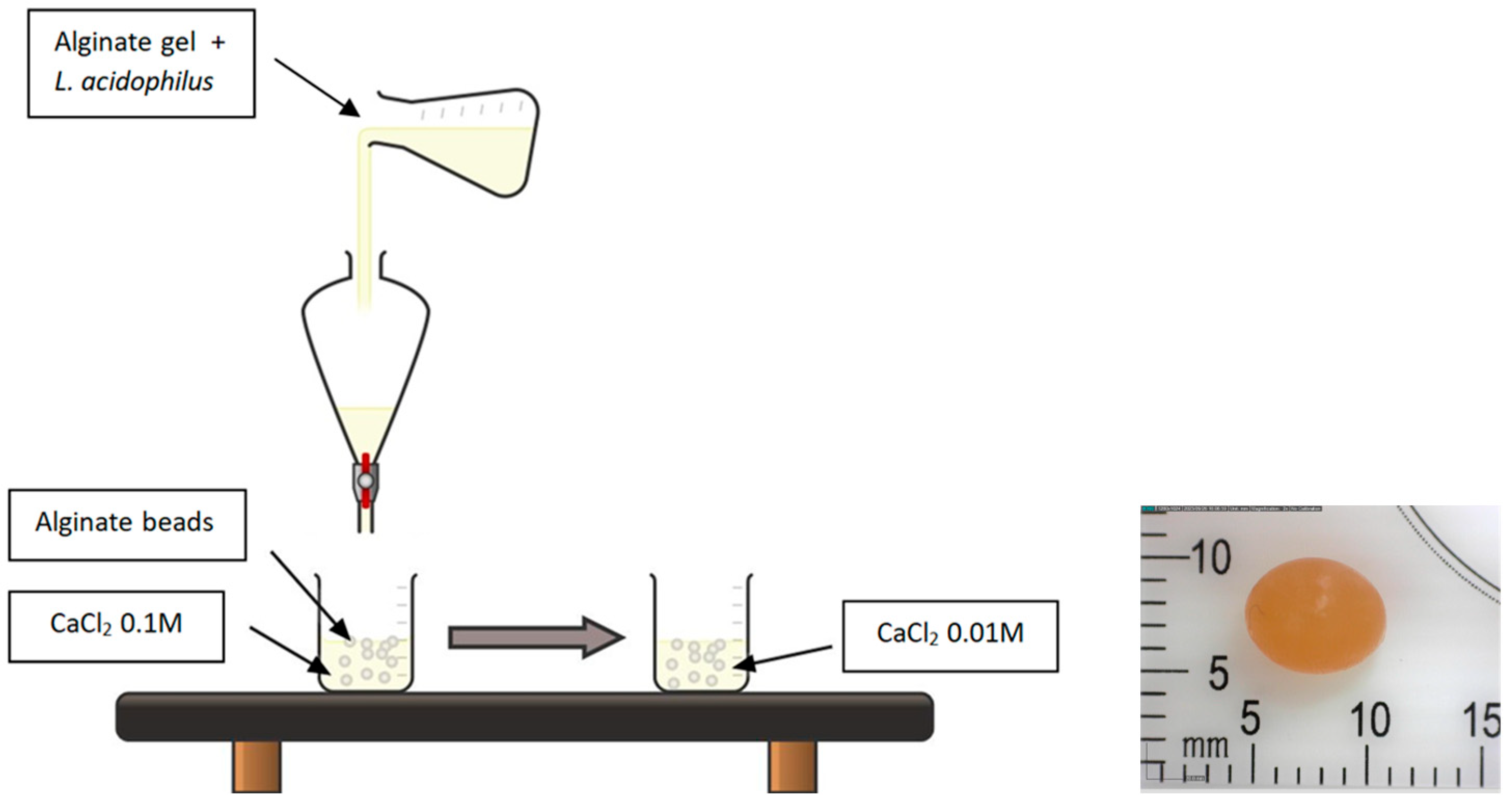 Development of Calcium Alginate Hydrogels with Chlorella, Carob ...