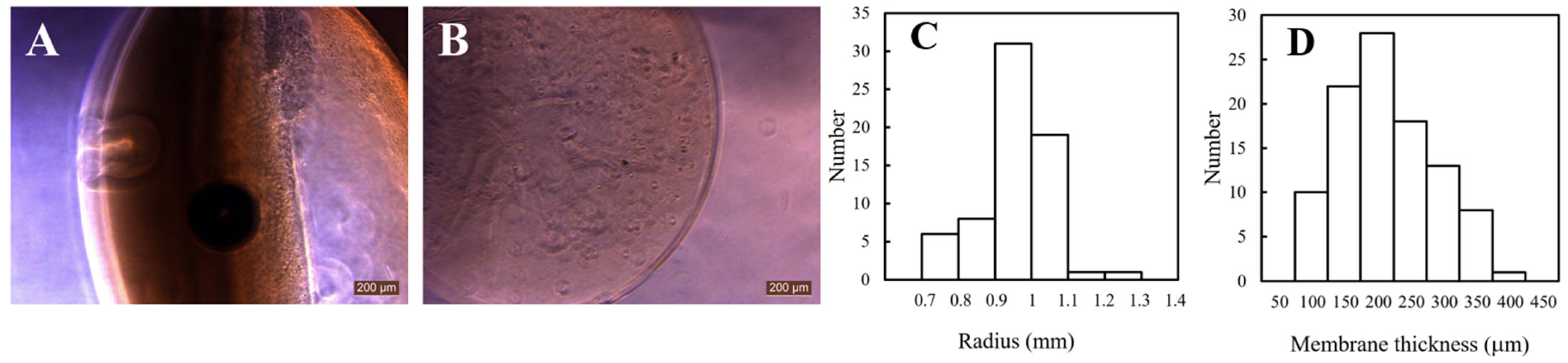 Development and Characterization of Hollow-Shell Collagen Microcapsules ...