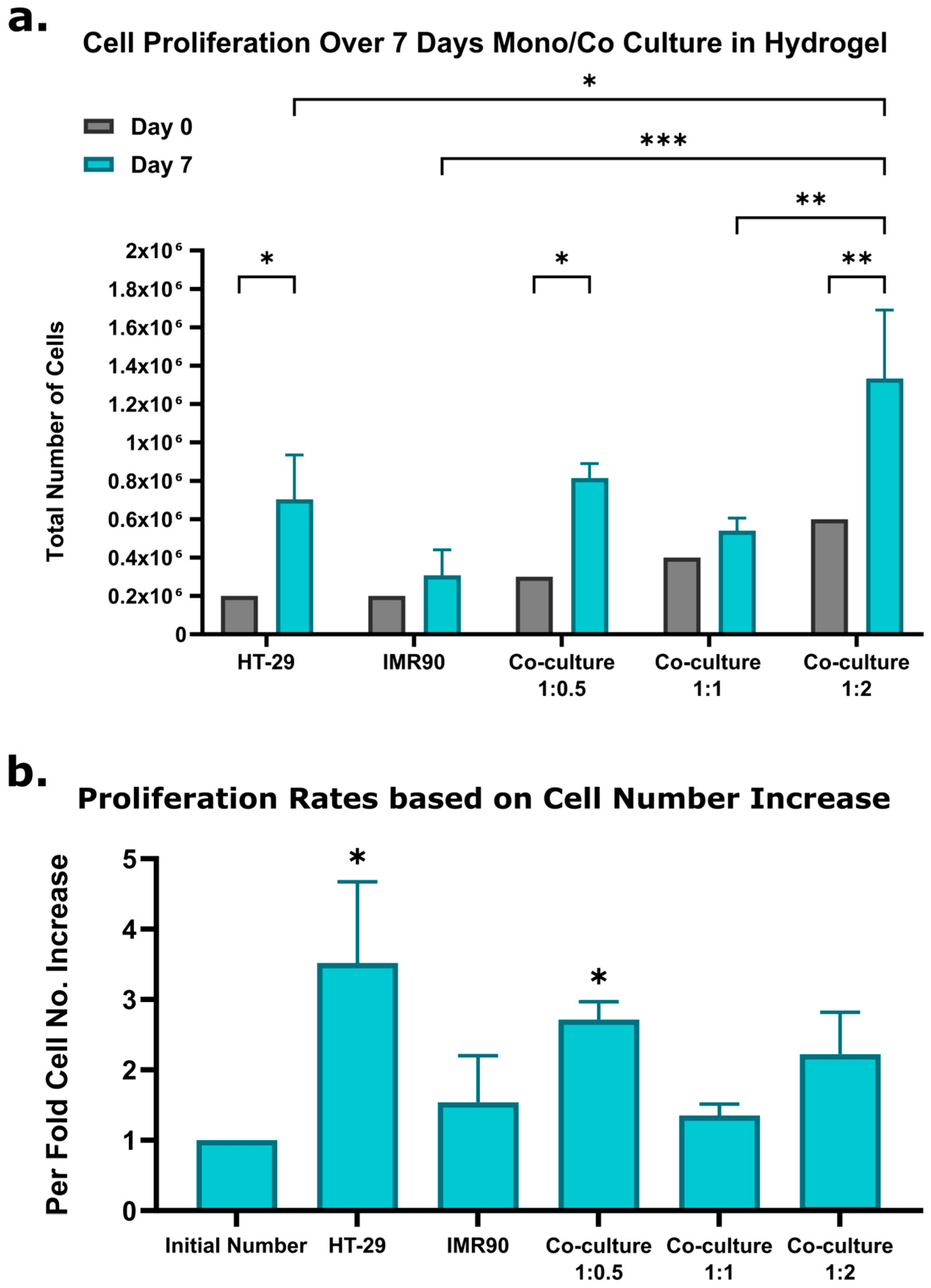 A 3D Alginate–Gelatin Co-Culture Model to Study Epithelial–Stromal ...