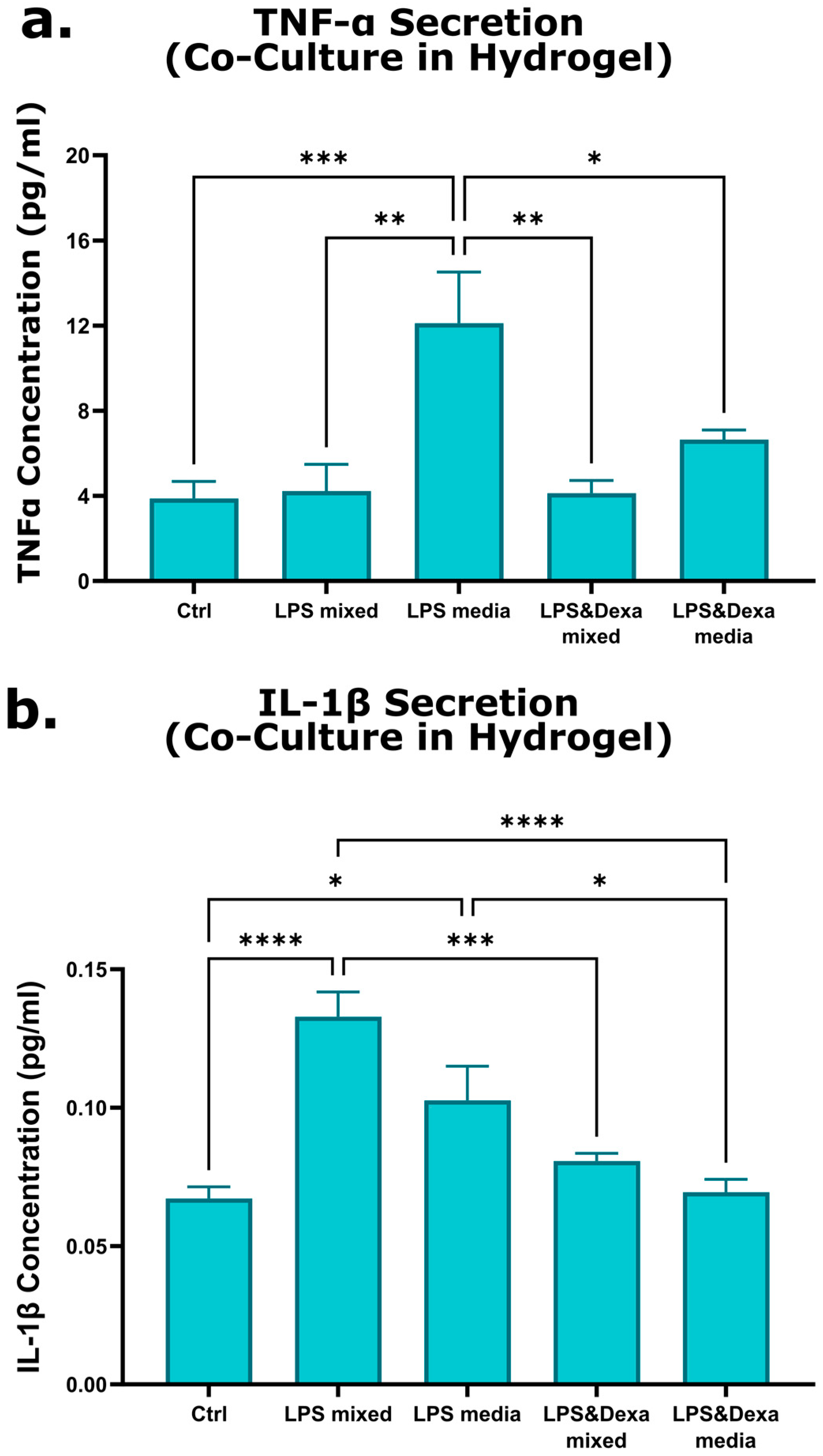 A 3D Alginate–Gelatin Co-Culture Model to Study Epithelial–Stromal ...
