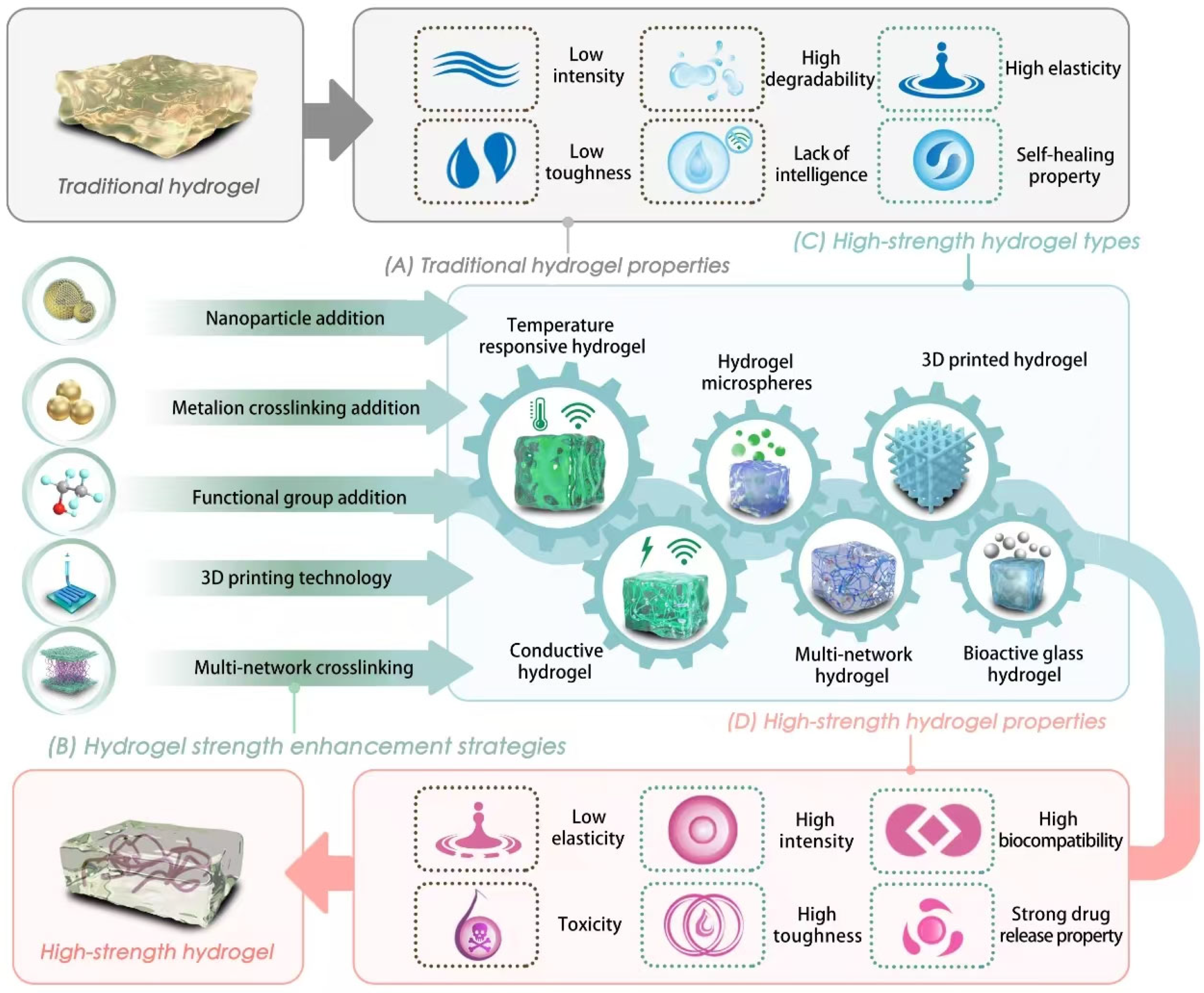 Rational Design of Mechanically Optimized Hydrogels for Bone Tissue ...