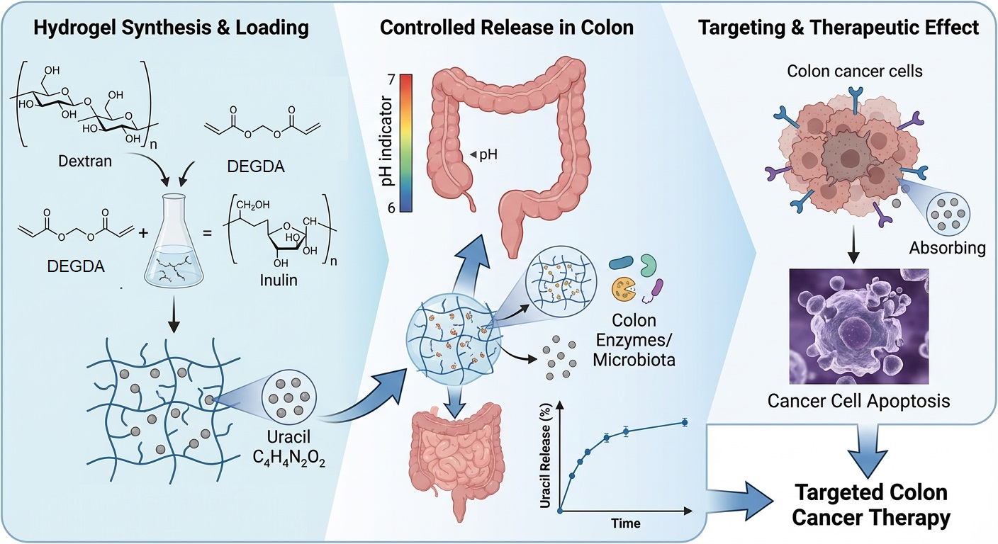 Structural, Swelling, and In Vitro Digestion Behavior of DEGDA ...
