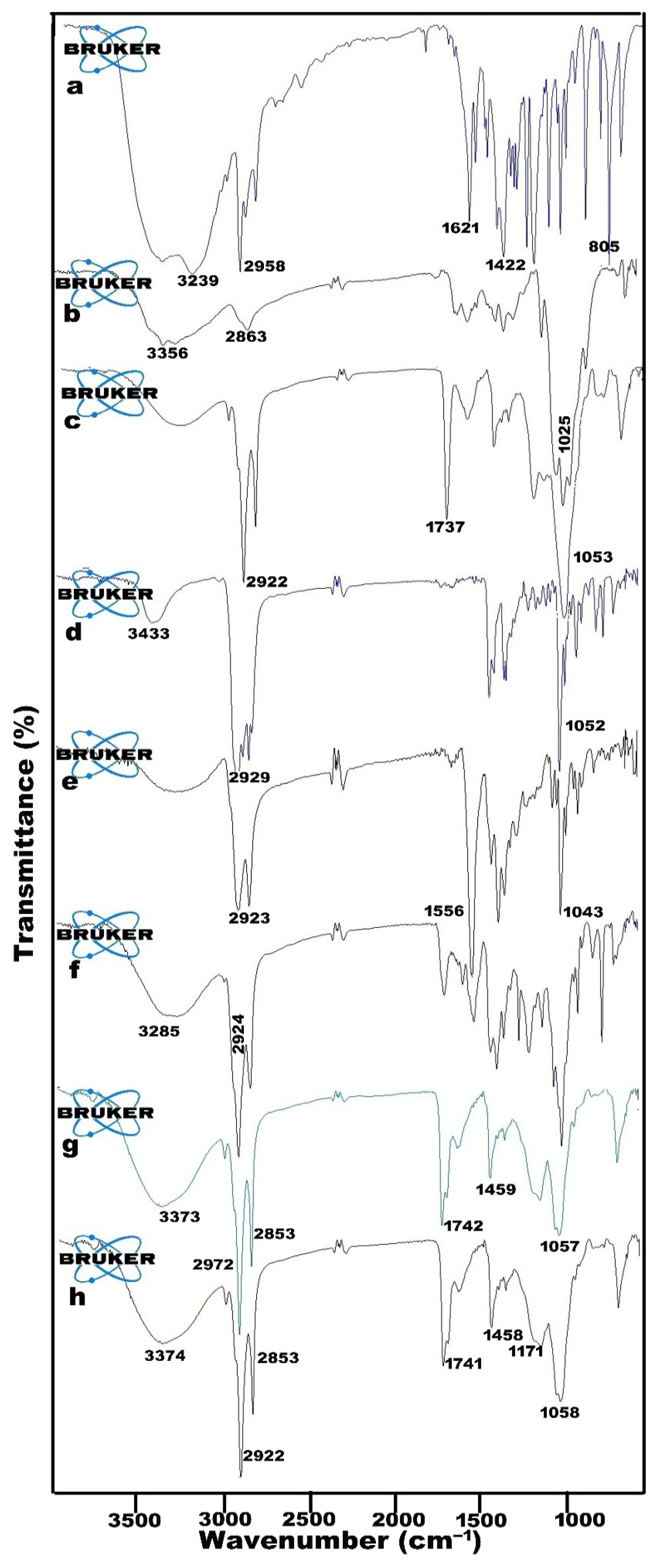 Exploring the Potential of Transdermal Nanobilosomal Gel for Magnified ...