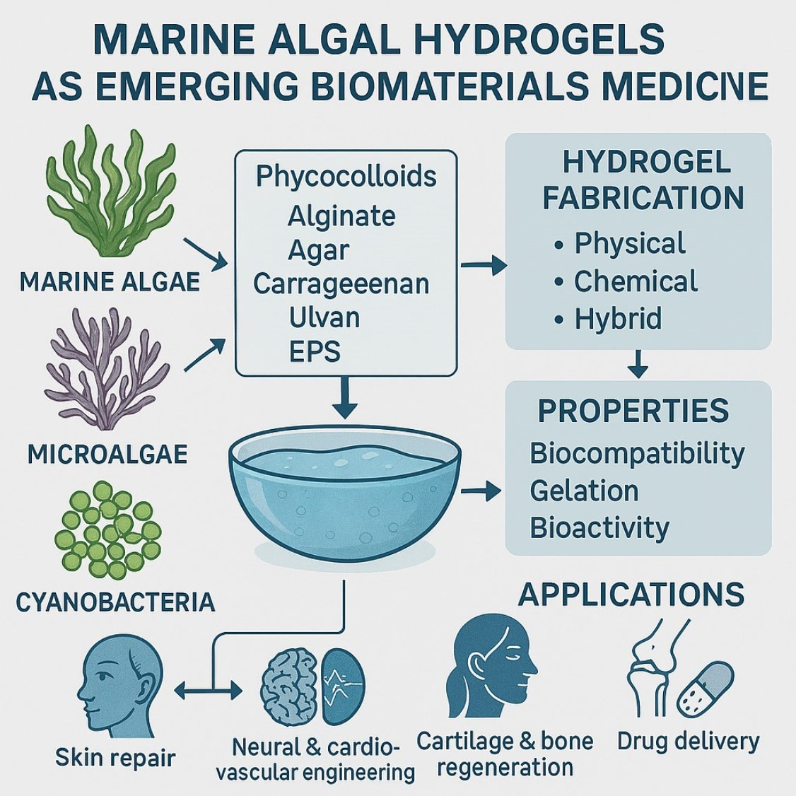 Marine Algae Hydrogels as Emerging Biomaterials for Medicine