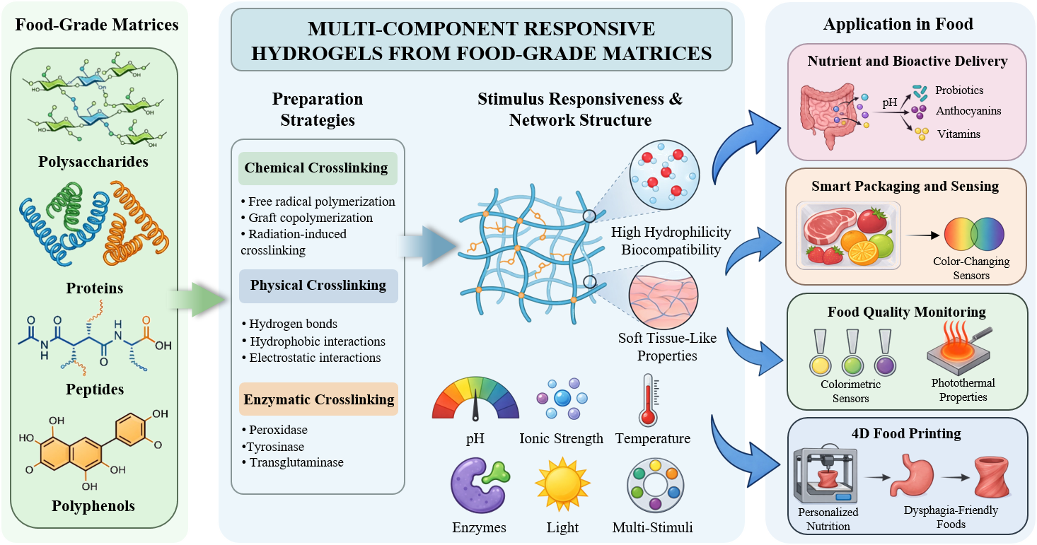 Stimuli-Responsive Hydrogels in Food Sector: Multi-Component Design ...