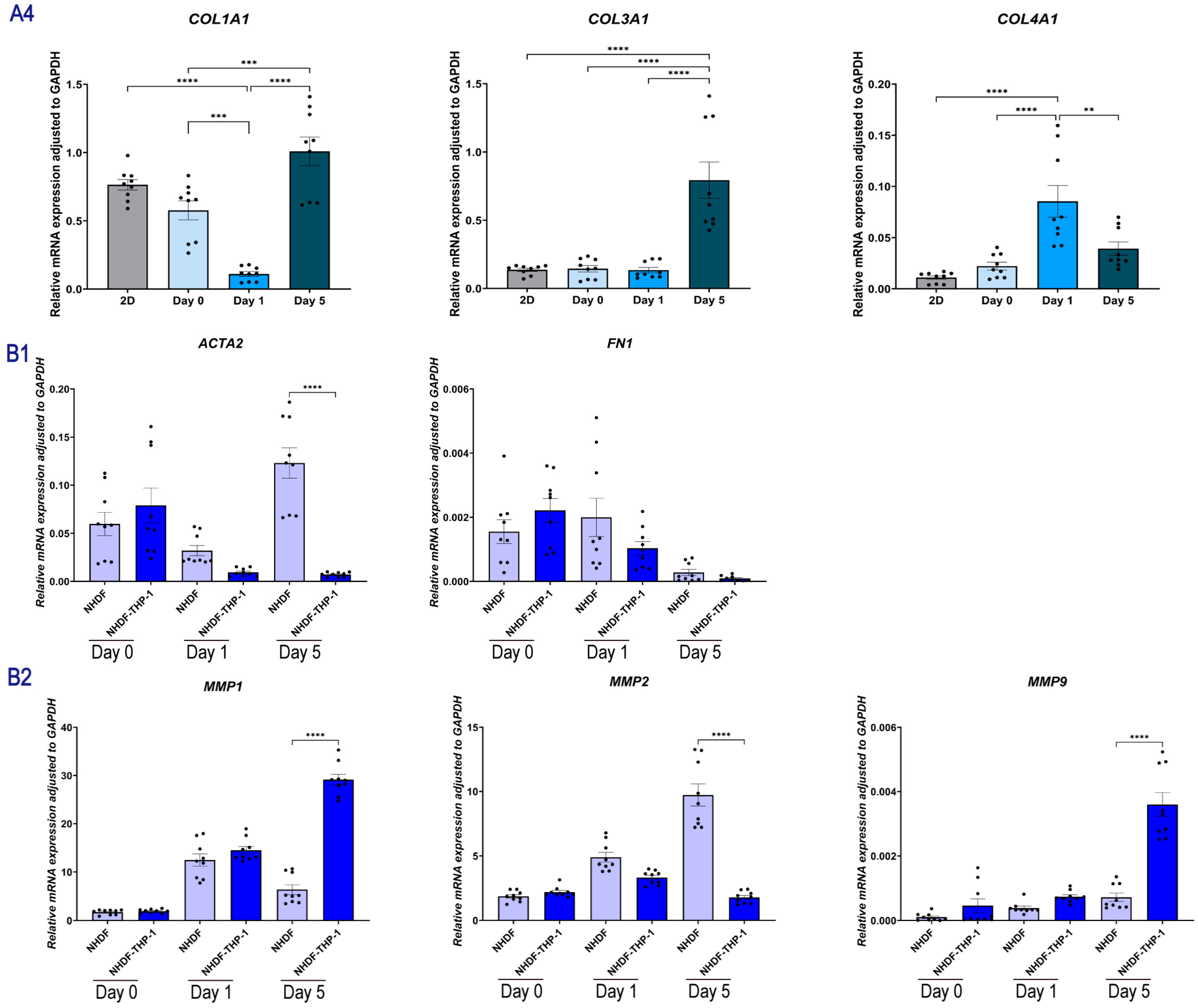 Dermal Fibroblasts Modulate Migration and Phenotype of Infiltrating ...