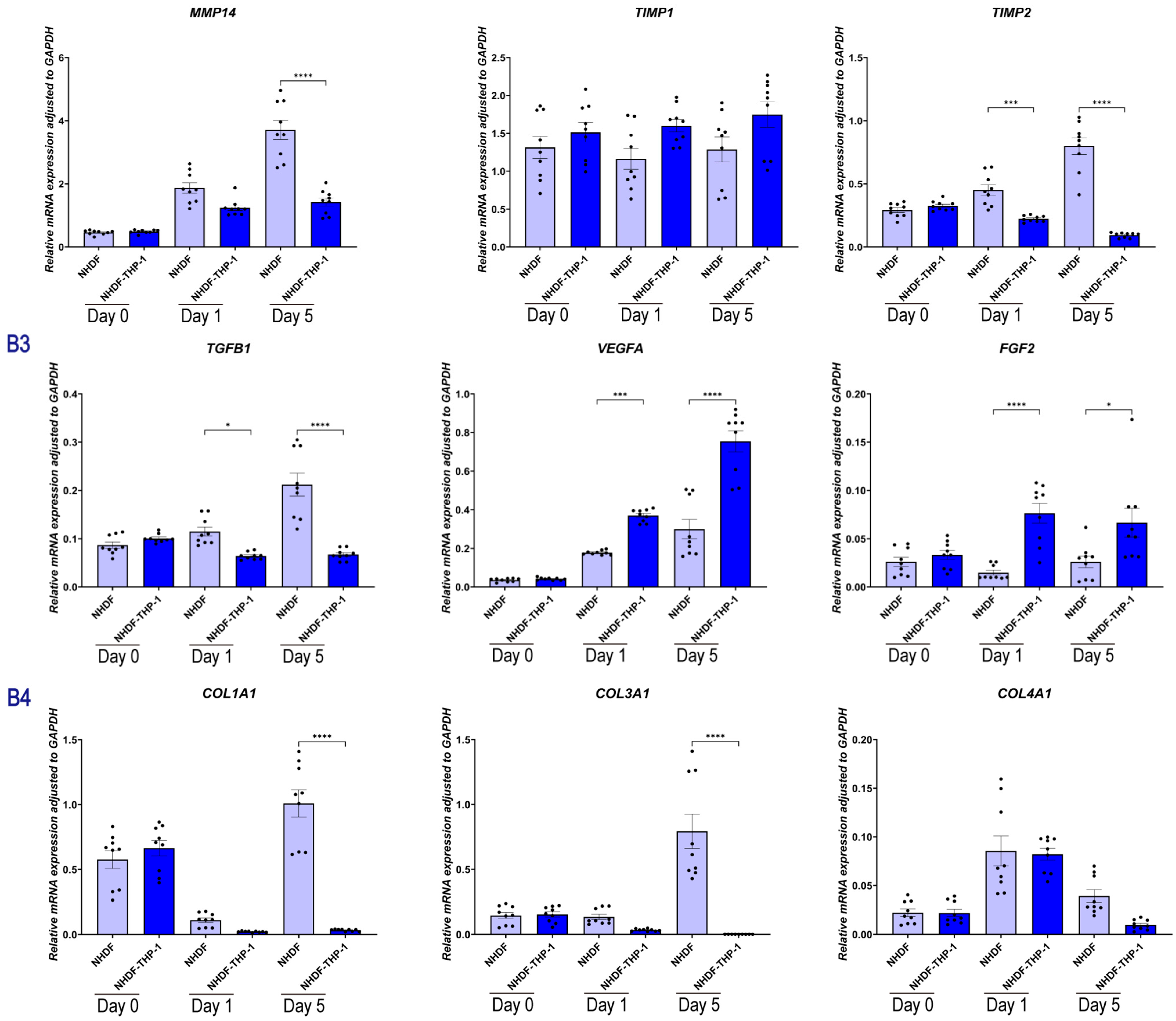 Dermal Fibroblasts Modulate Migration and Phenotype of Infiltrating ...
