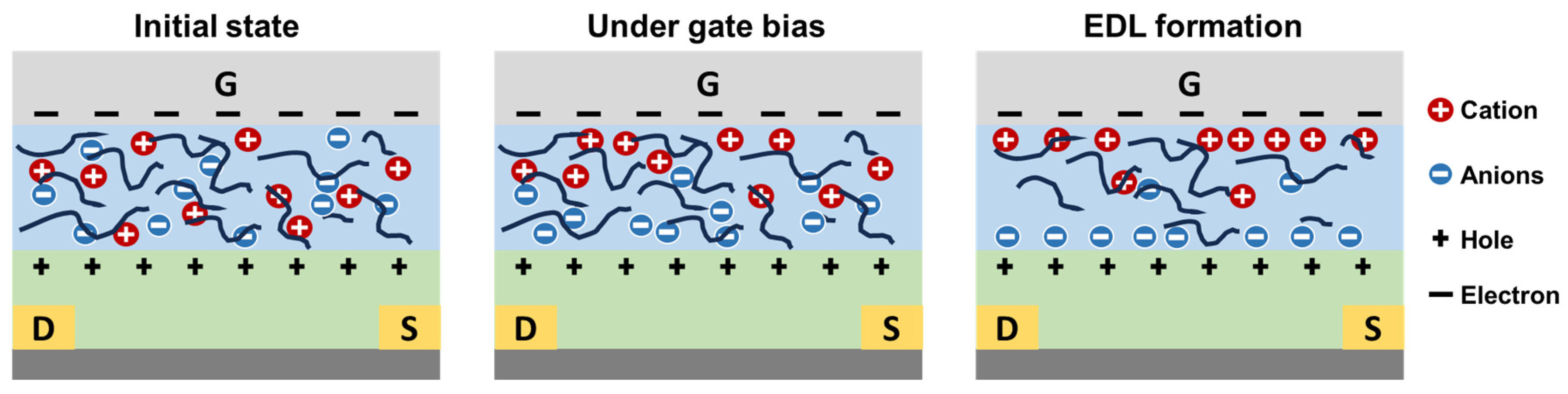 Advances in Gel-Based Electrolyte-Gated Flexible Visual Synapses for ...