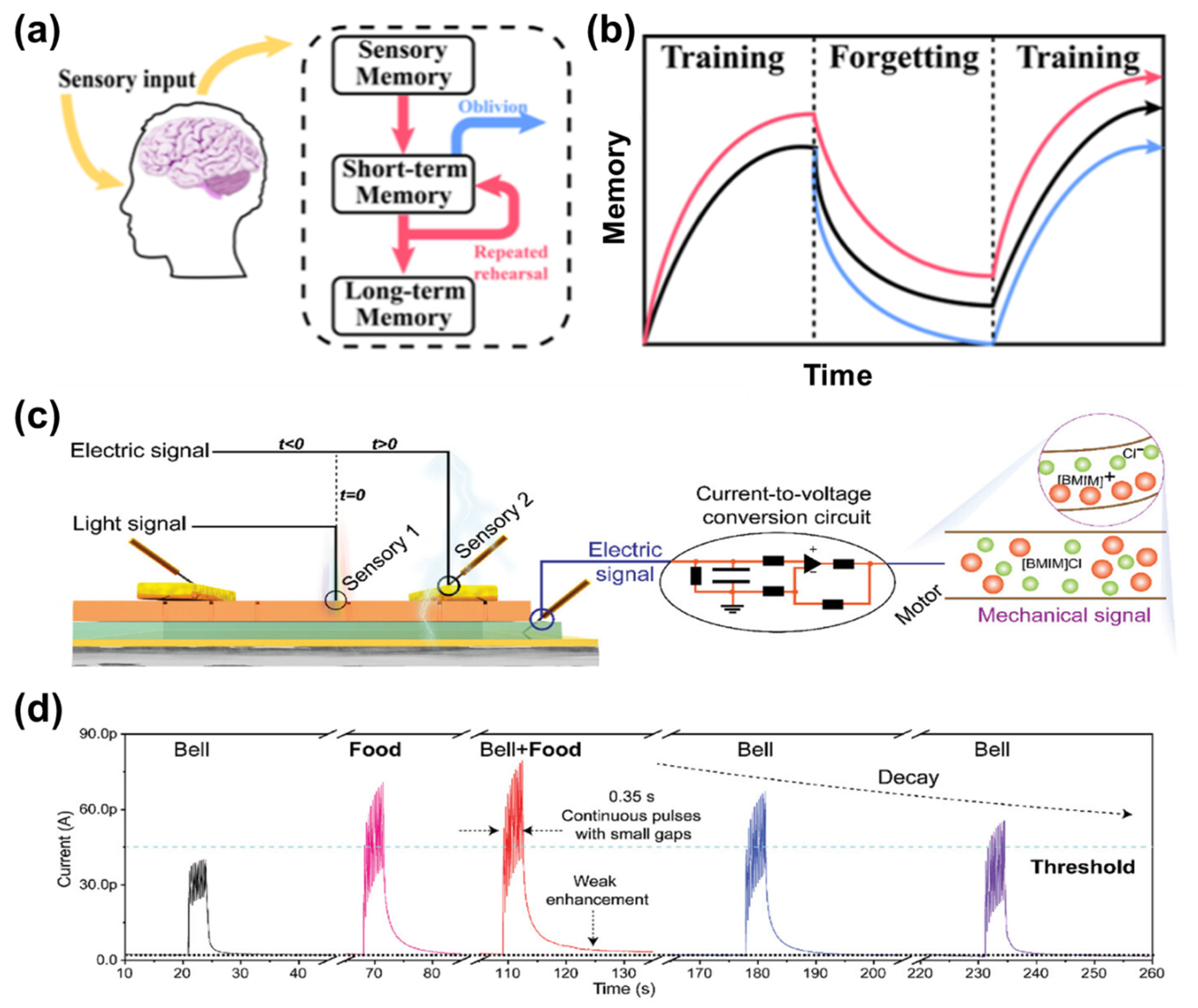 Advances in Gel-Based Electrolyte-Gated Flexible Visual Synapses for ...
