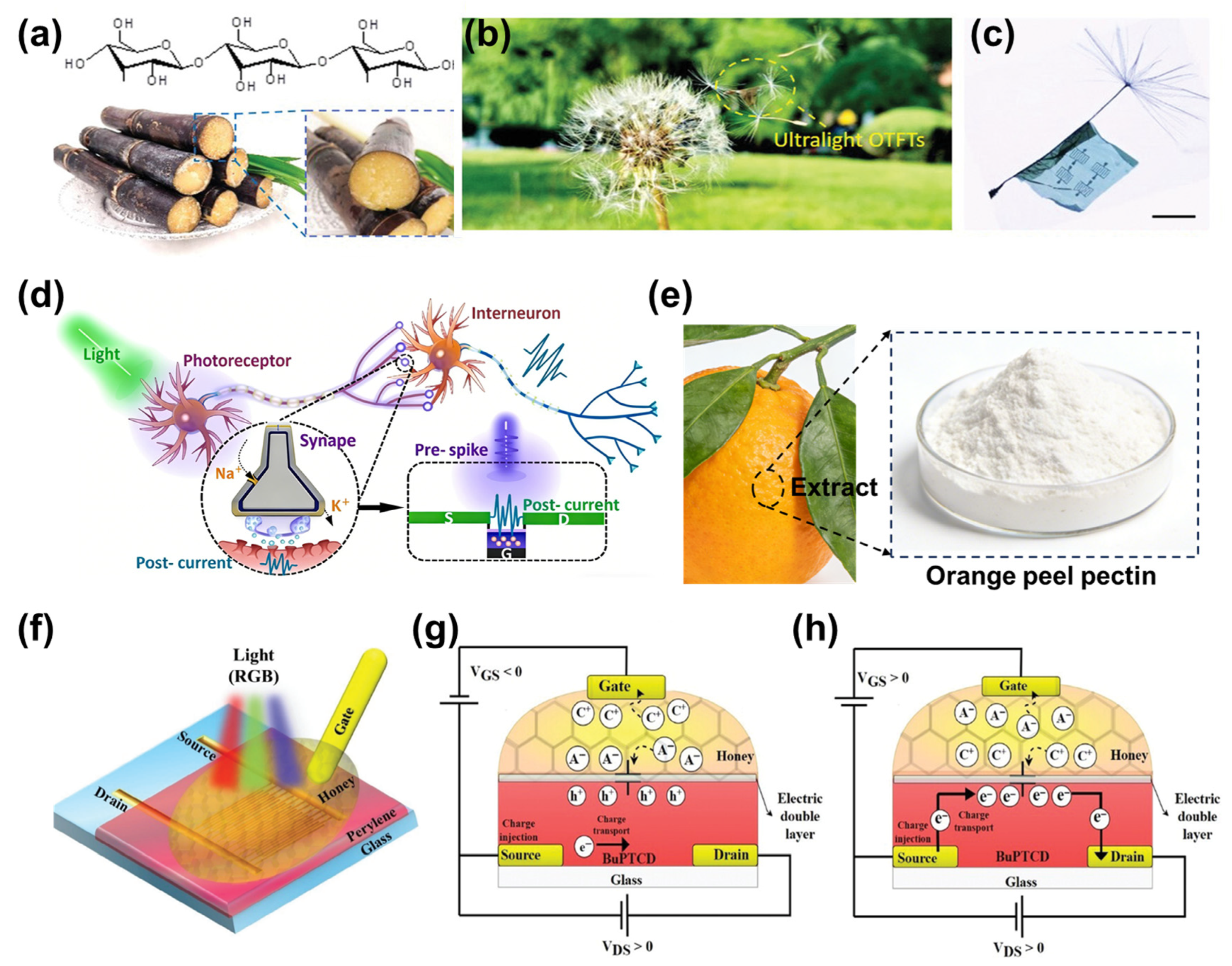 Advances in Gel-Based Electrolyte-Gated Flexible Visual Synapses for ...