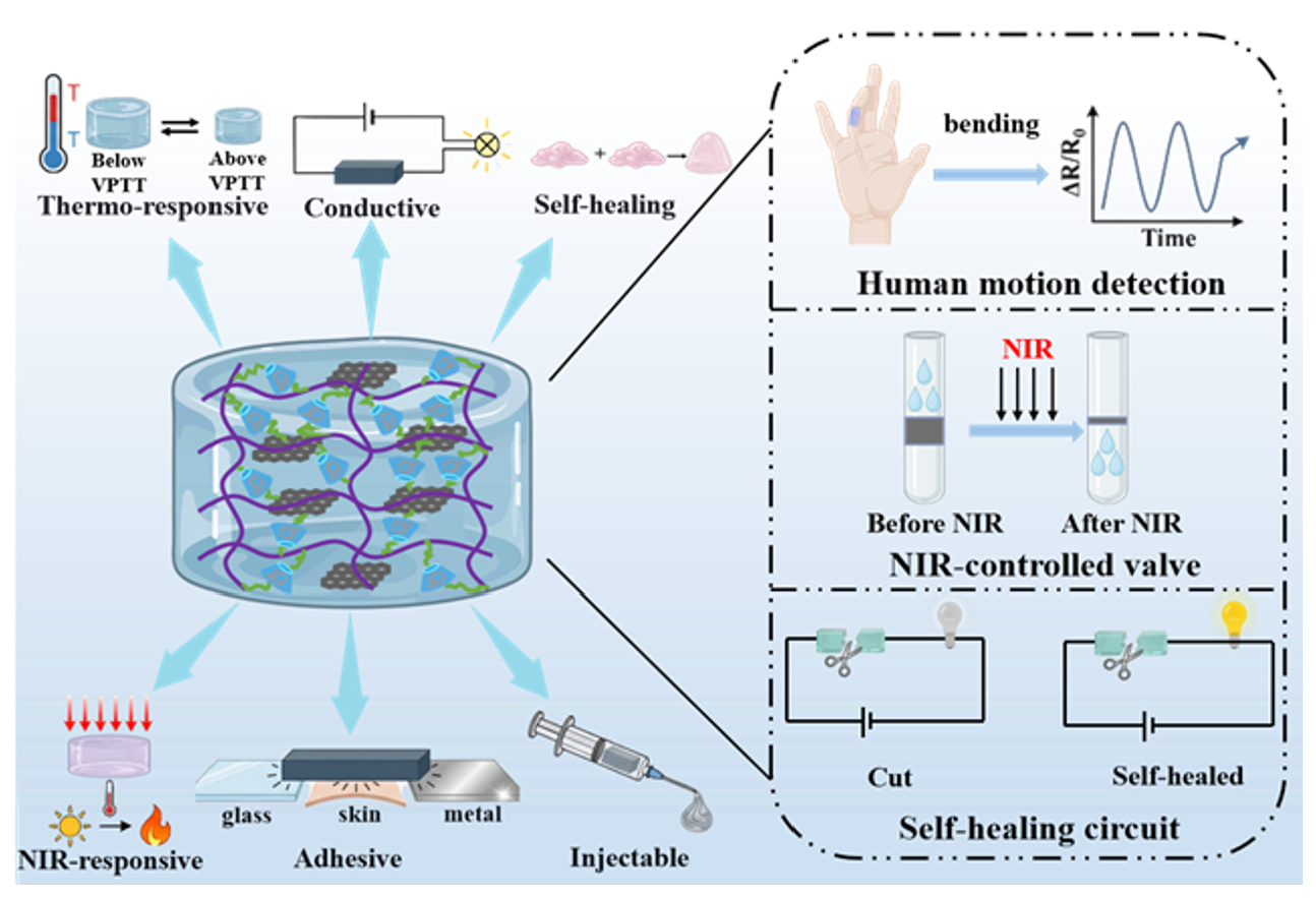 Supramolecular Multiple Stimuli-Responsive Conductive Hydrogel for ...