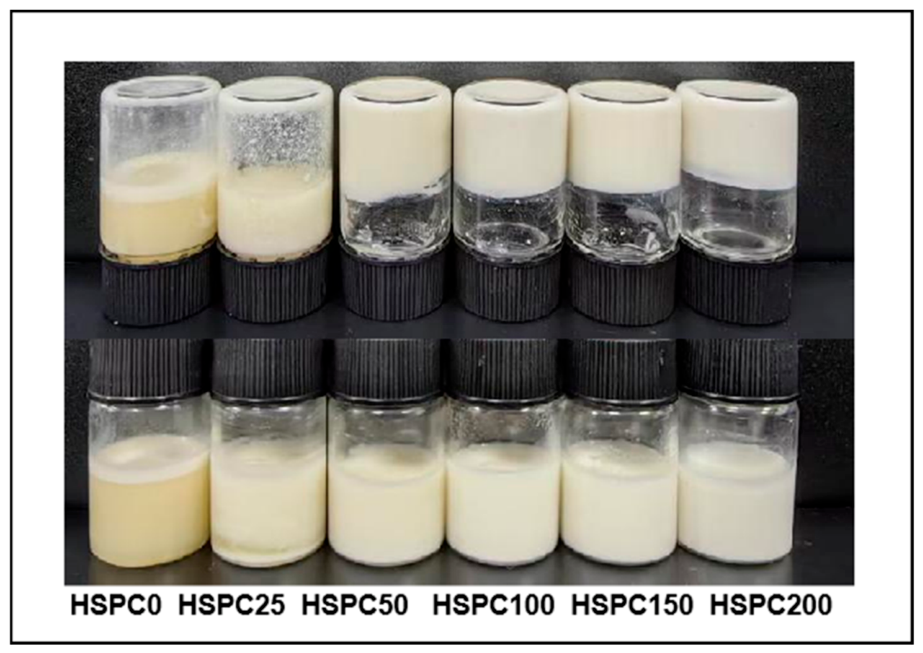 Physicochemical and Structural Characterization of Composite Gels of ...