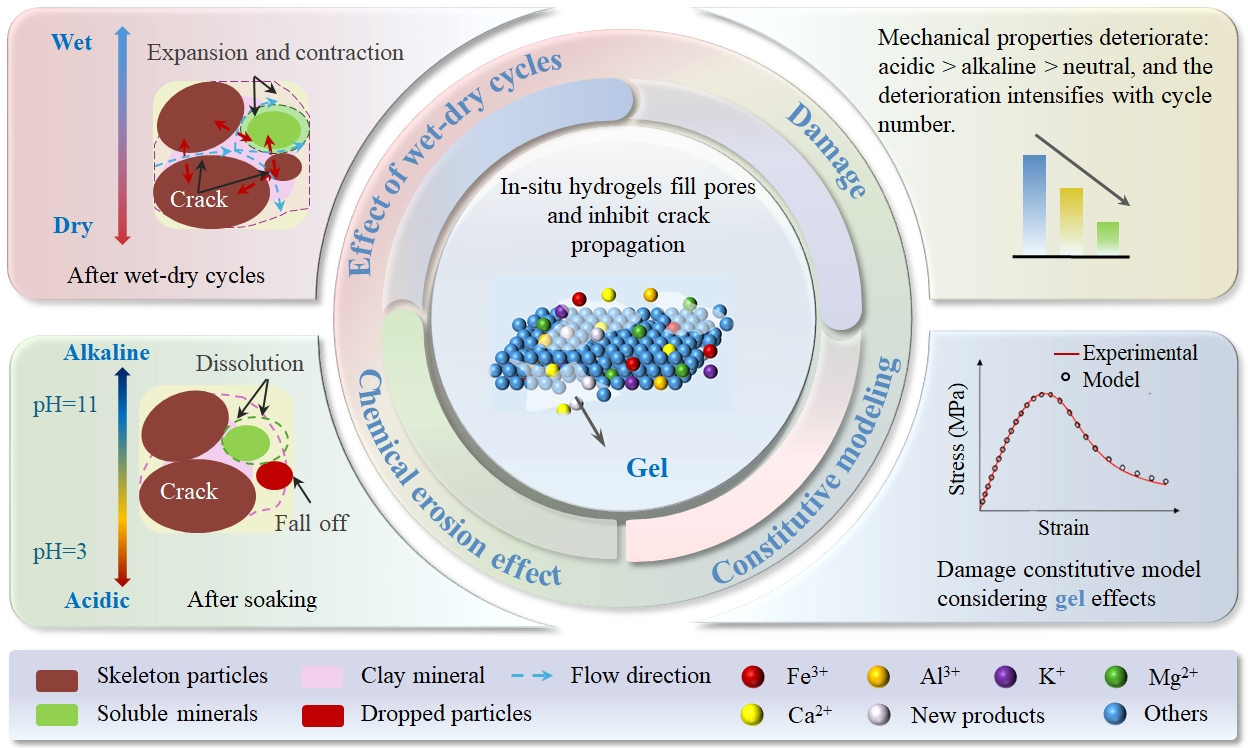 In Situ Gel Formation, Pore Network Evolution and Mechanical ...