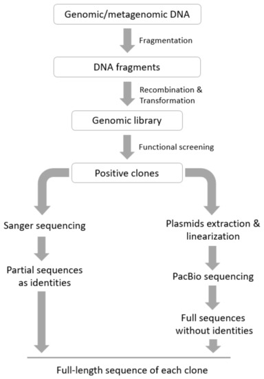 Functional Genomic Identification of Cadmium Resistance Genes from a ...