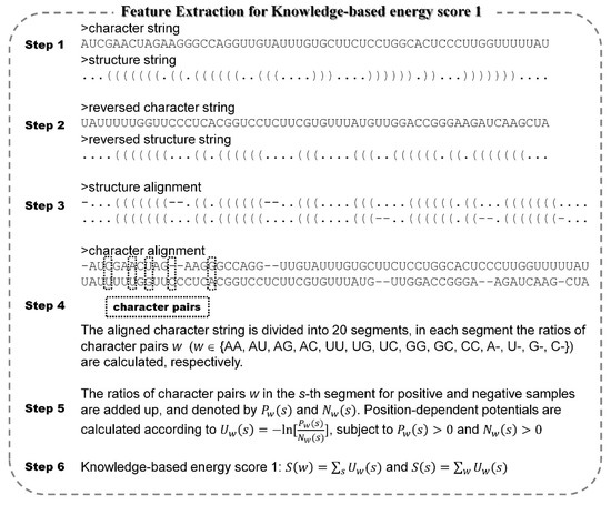 Genes | Free Full-Text | PlantMirP-Rice: An Efficient Program for Rice ...