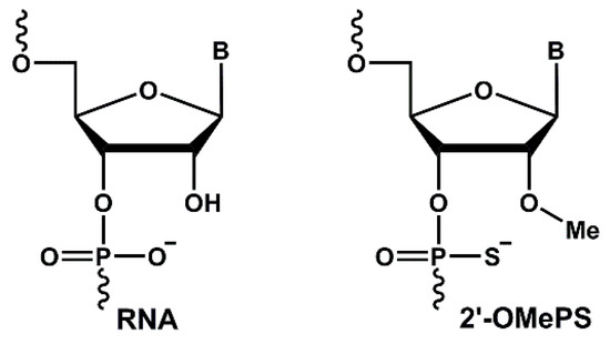 Development of Novel Chemically-Modified Nucleic Acid Molecules for ...
