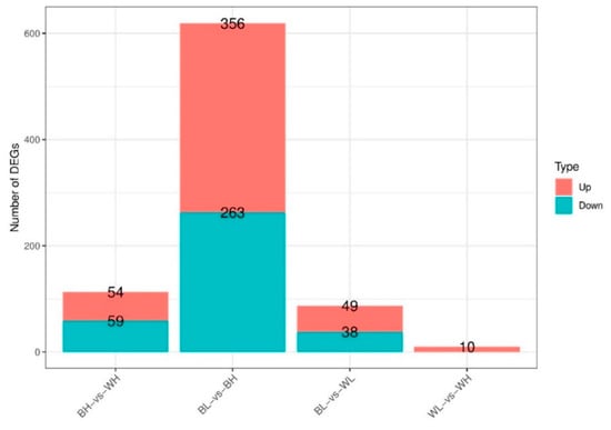 Comparative Transcriptome Profiling of Ovary Tissue between Black ...