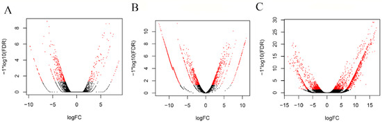 Decoding the Reproductive System of the Olive Fruit Fly, Bactrocera oleae