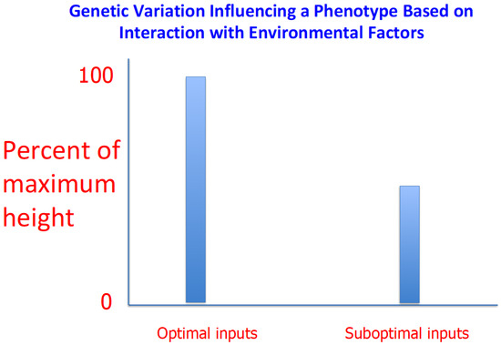 Genes, Heritability, ‘Race’, and Intelligence: Misapprehensions and ...