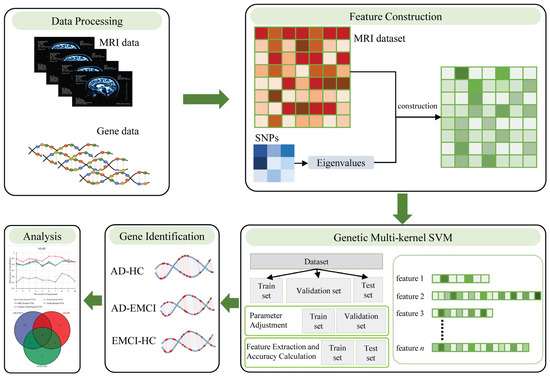 Feature Fusion and Detection in Alzheimer’s Disease Using a Novel ...