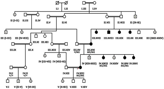 Exome Sequencing Identified Molecular Determinants of Retinal Dystrophies in Nine Consanguineous ...