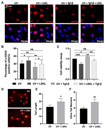 Transcriptome Sequencing Reveals Tgf-β-Mediated Noncoding RNA ...