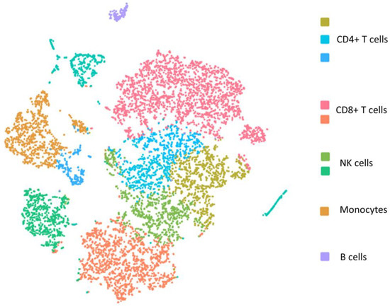 Single Cell Transcriptome Analysis of Peripheral Blood Mononuclear ...