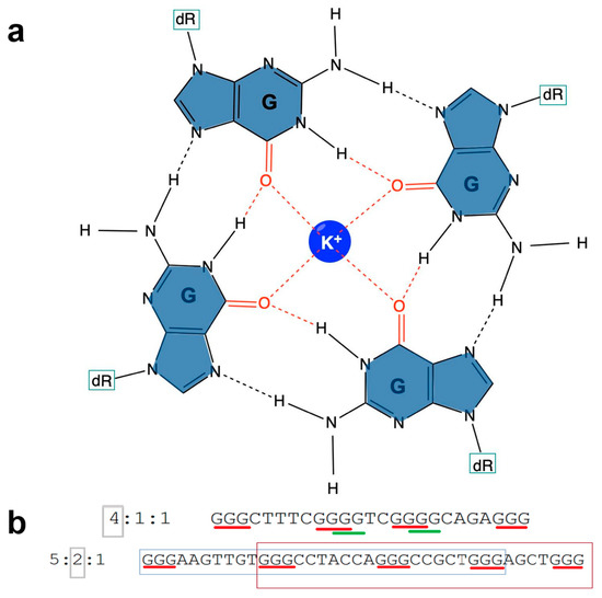 Structural and Functional Classification of G-Quadruplex Families ...