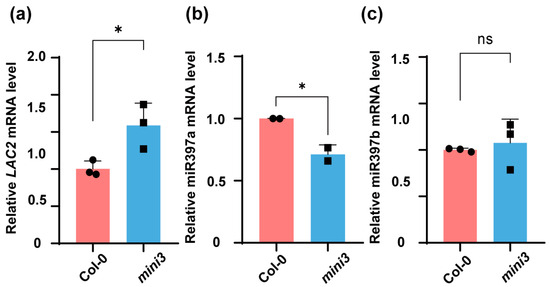 WRKY10 Regulates Seed Size through the miR397a-LAC2 Module in ...