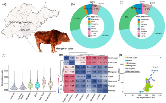 Genes | Free Full-Text | A Whole-Genome Scan Revealed Genomic Features ...