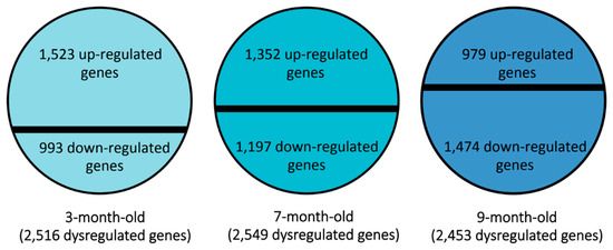 Changes in Gene Expression Profile with Age in SAMP8: Identifying ...