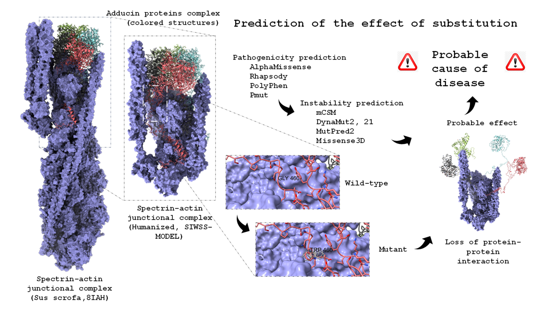 Computational Saturation Mutagenesis Reveals Pathogenic and Structural ...