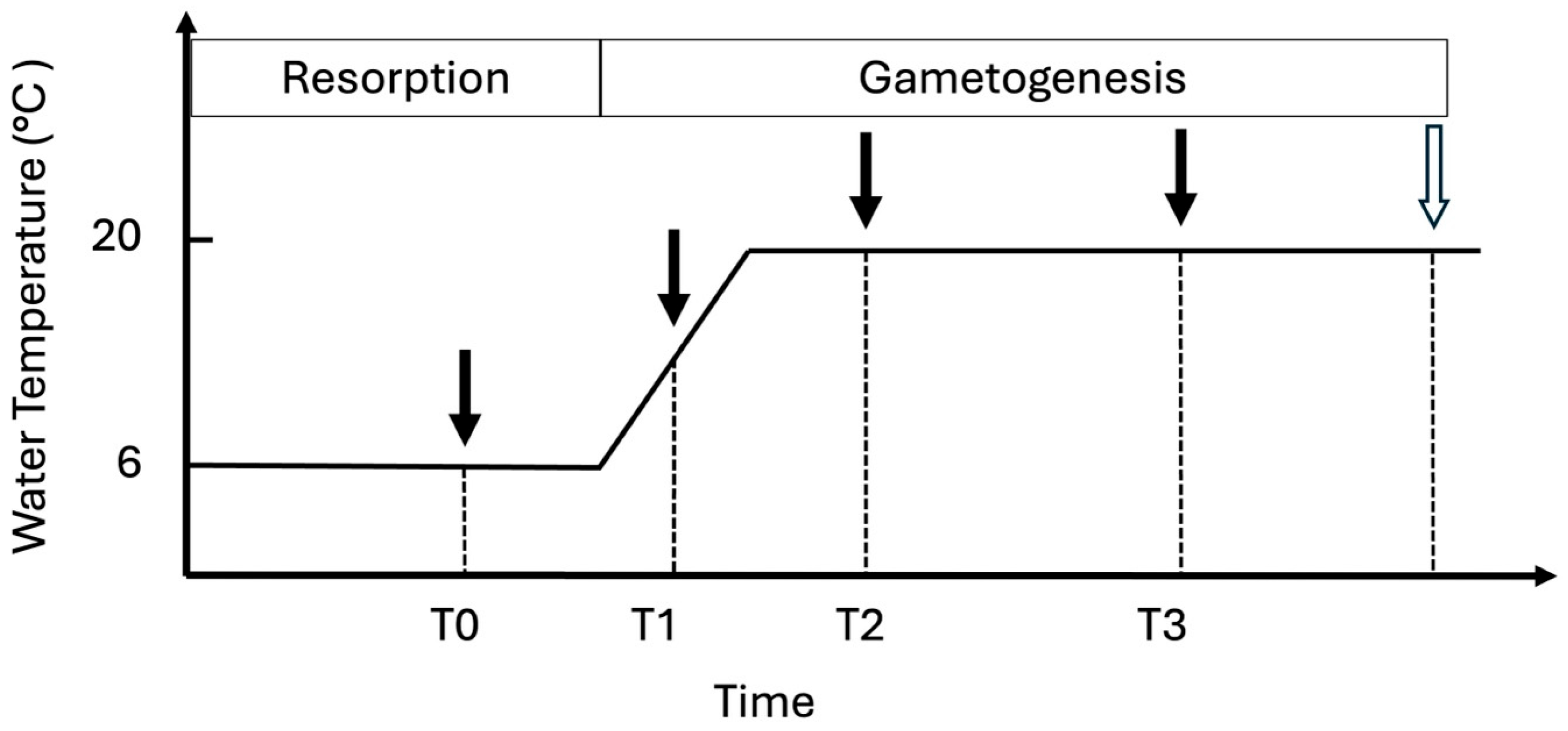 Sex Specific Transcriptome Signatures In Pacific Oyster Hemolymph