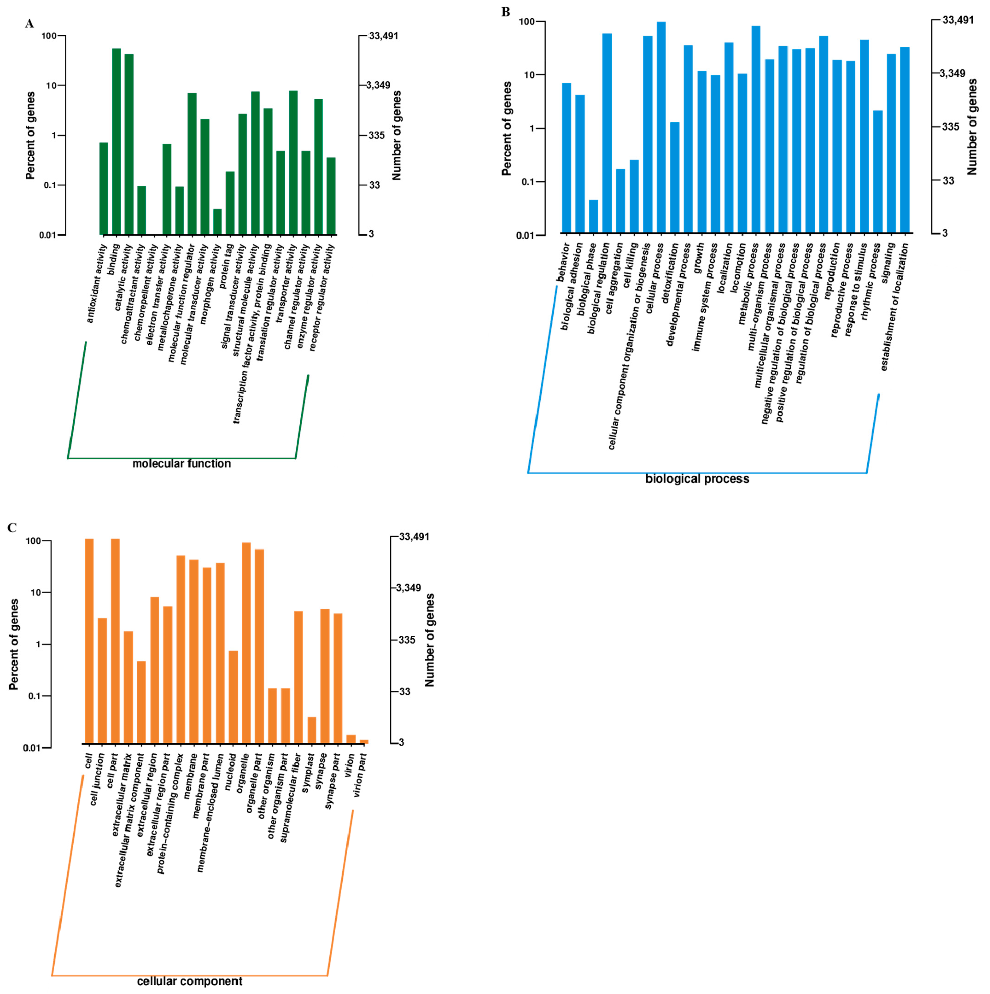 Lipid Metabolism and Circadian Regulation in Wing Polyphenism of ...
