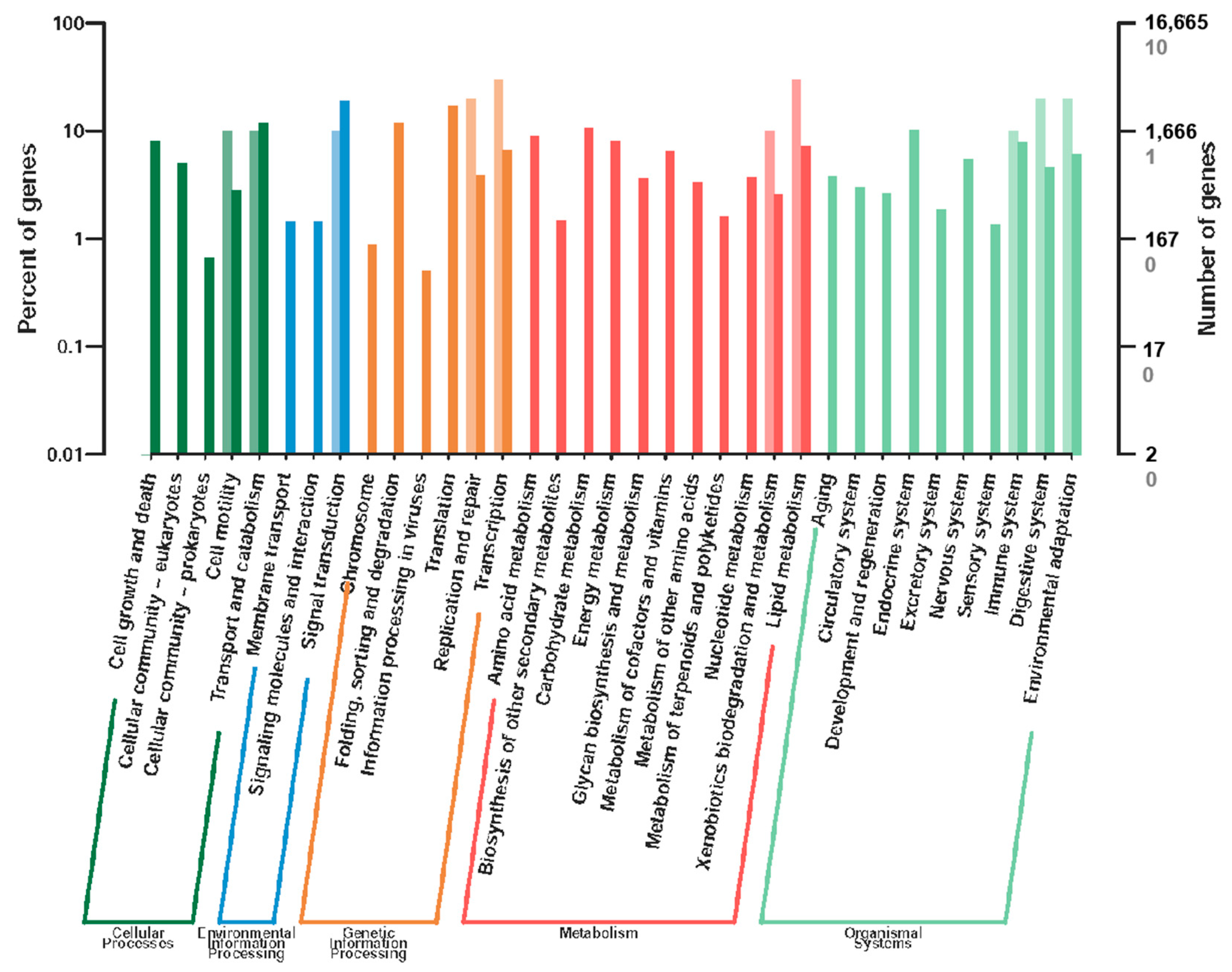 Lipid Metabolism and Circadian Regulation in Wing Polyphenism of ...