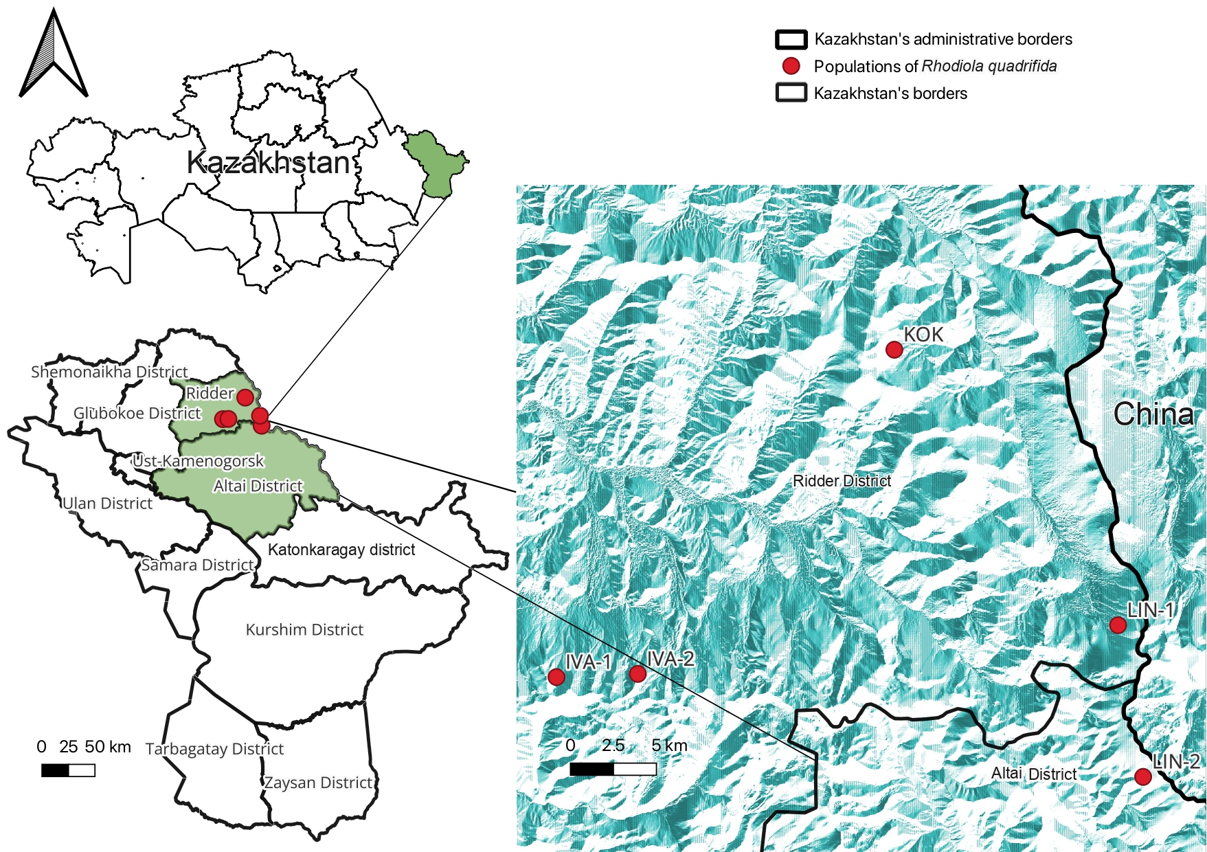 Genetic Diversity of Rhodiola quadrifida (Crassulaceae) in Altai High ...