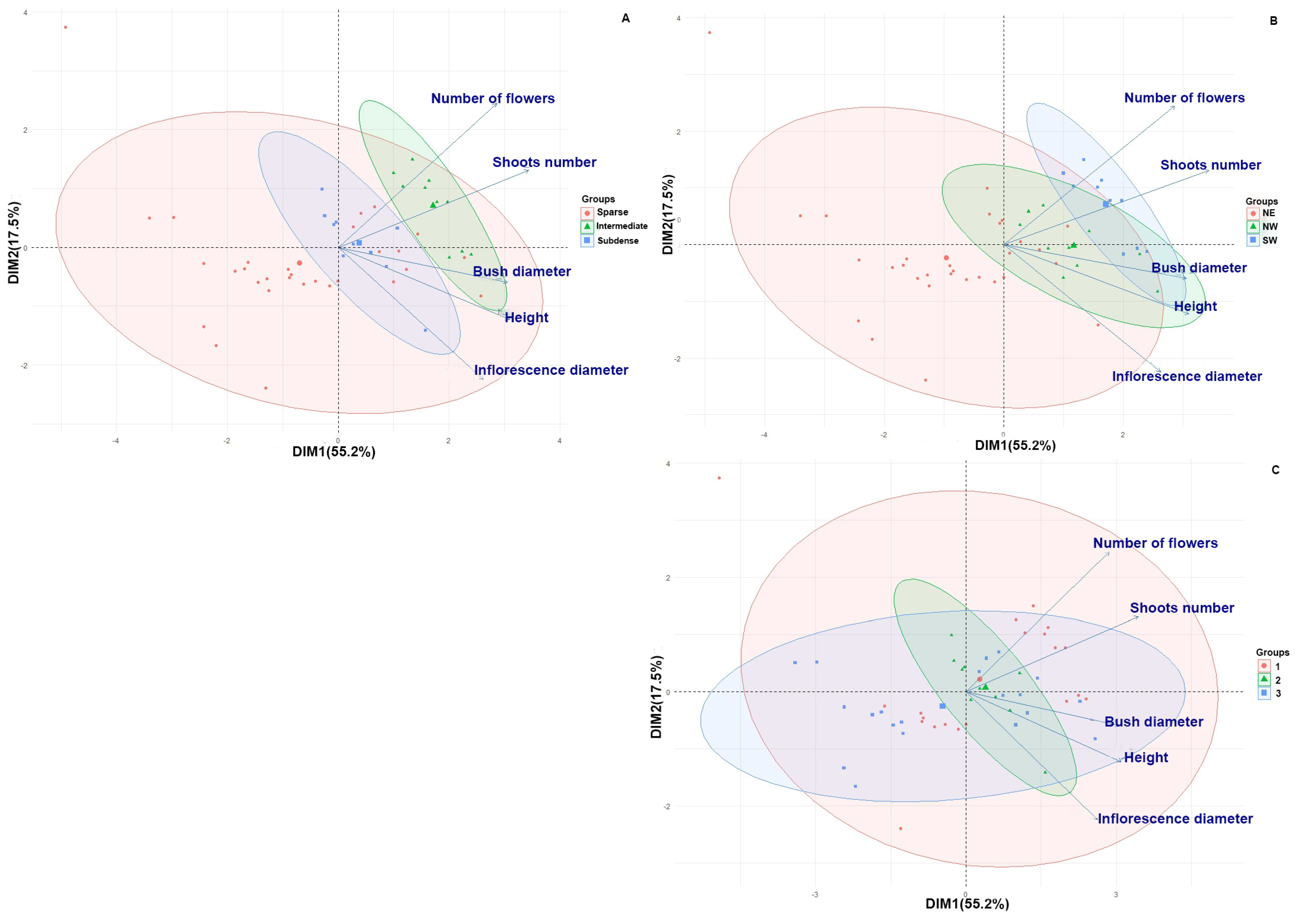 Genetic Diversity of Rhodiola quadrifida (Crassulaceae) in Altai High ...