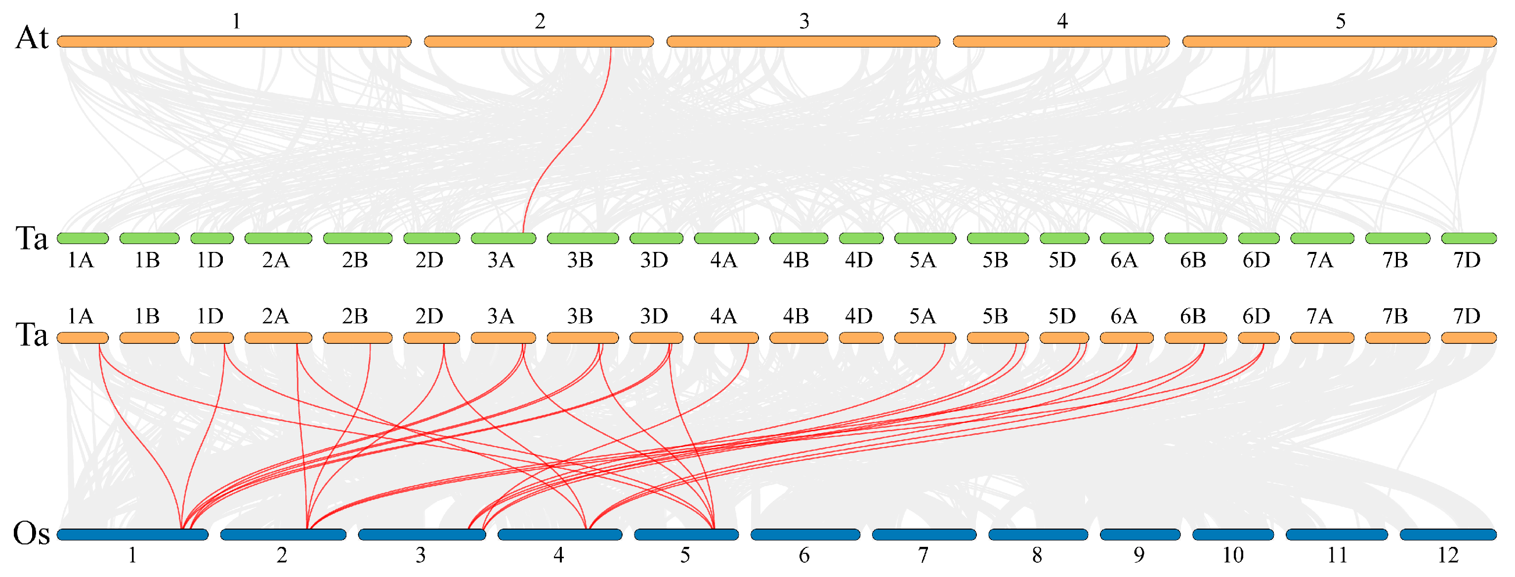 Genome-Wide Identification of the AMT Gene Family in Wheat: Expression ...