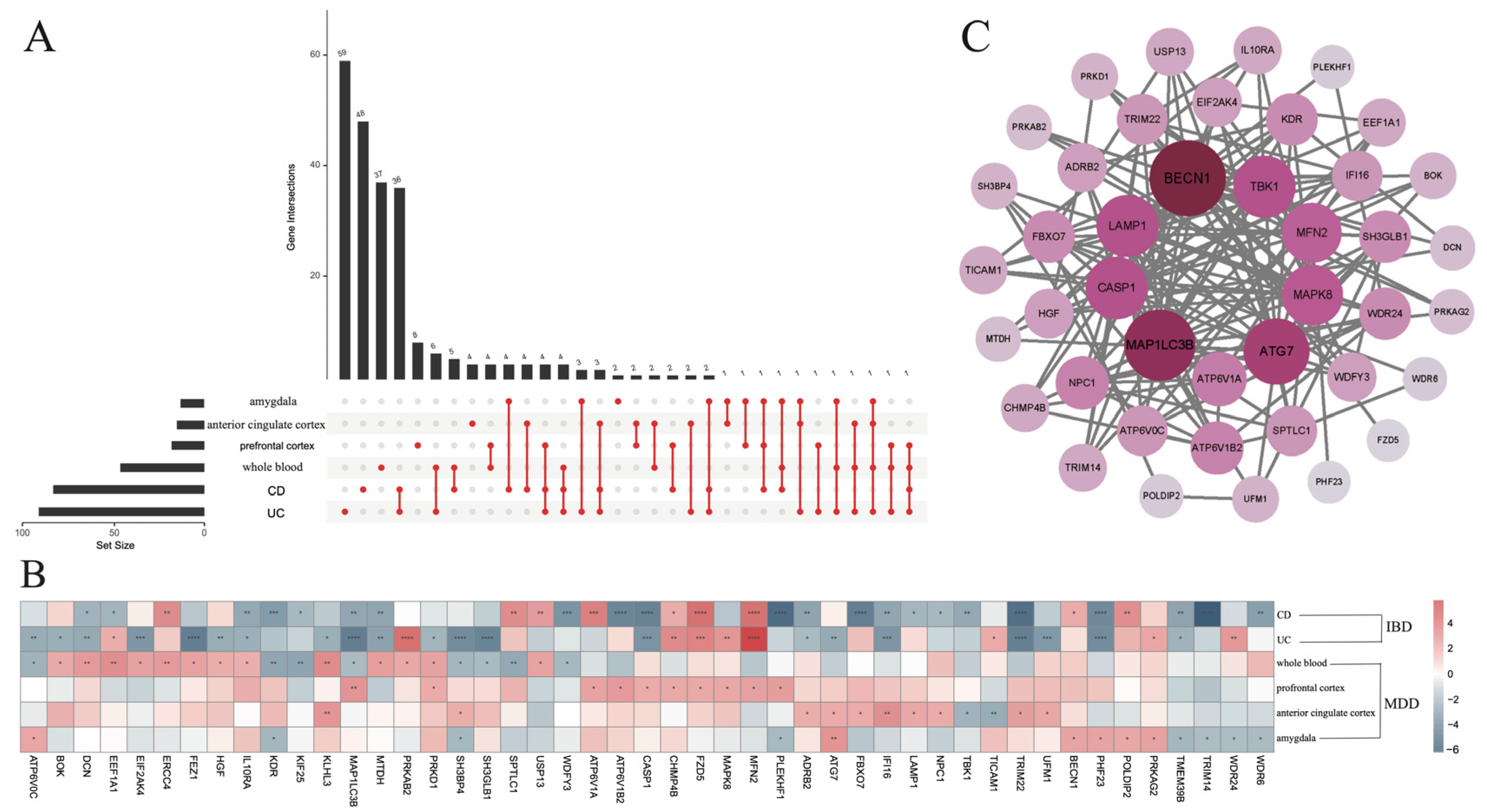 Machine Learning Reveals Common Regulatory Mechanisms Mediated by ...
