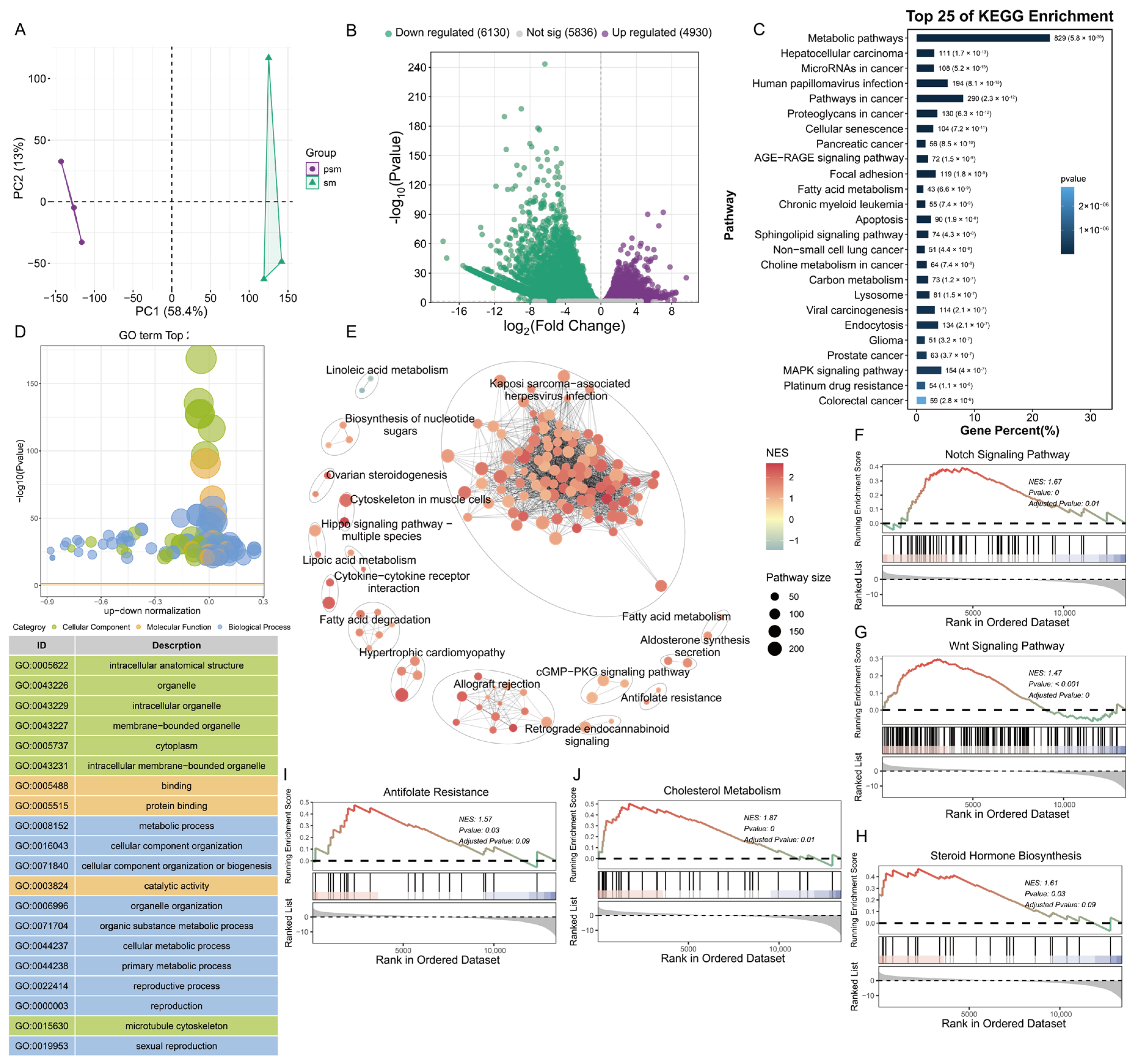 Nanopore Sequencing Technology Reveals the Transcriptional Expression ...