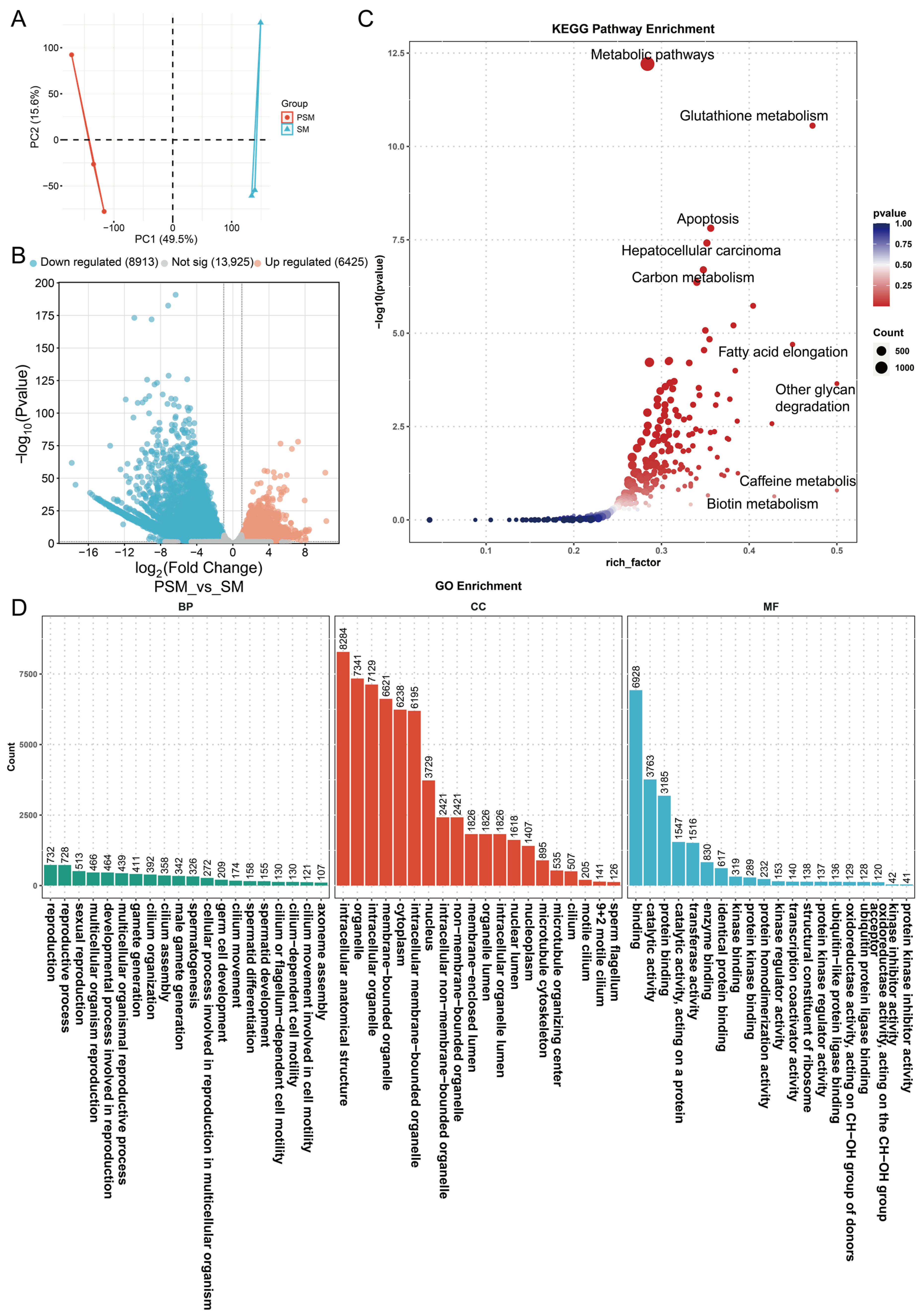 Nanopore Sequencing Technology Reveals the Transcriptional Expression ...
