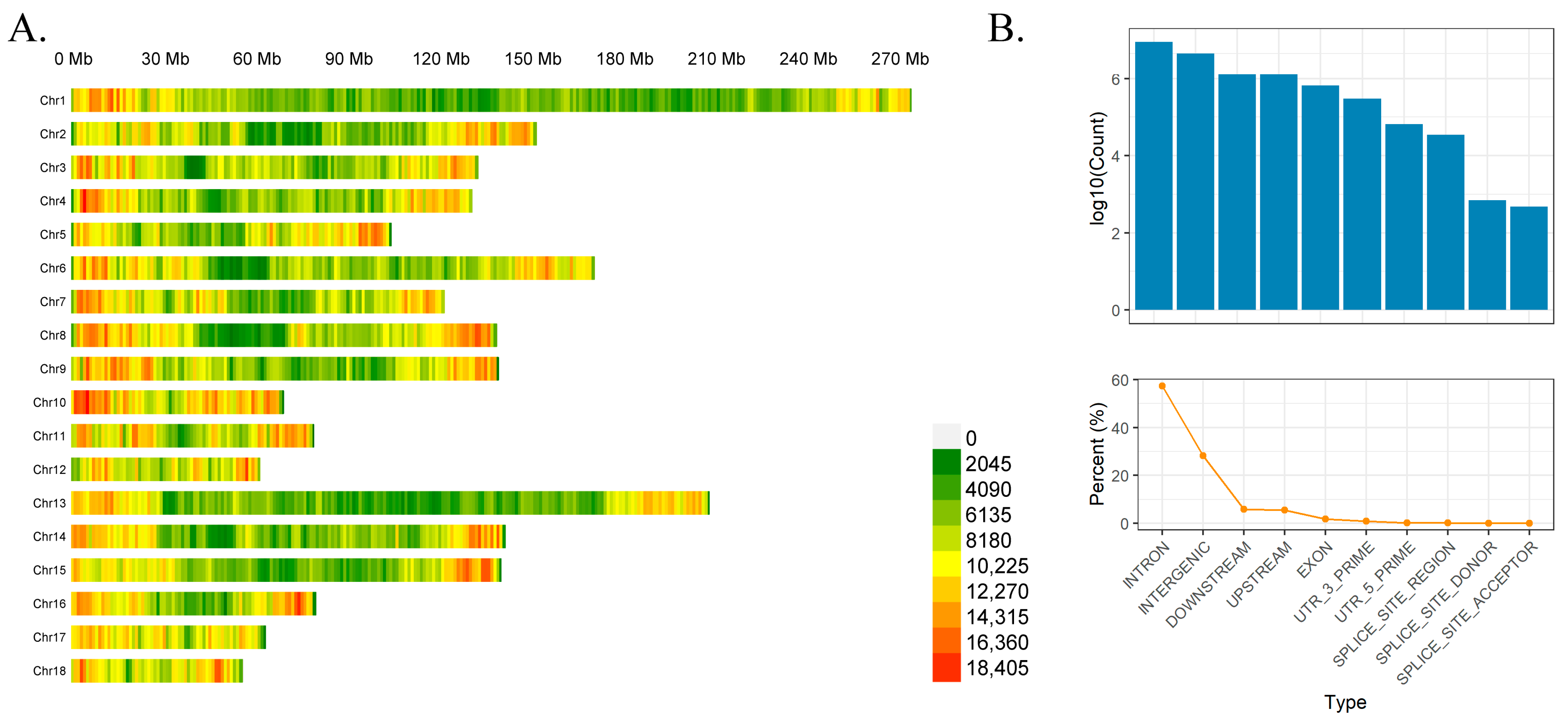 Genetic Diversity and Selection Signal Analysis of Xinjiang Black Pig ...