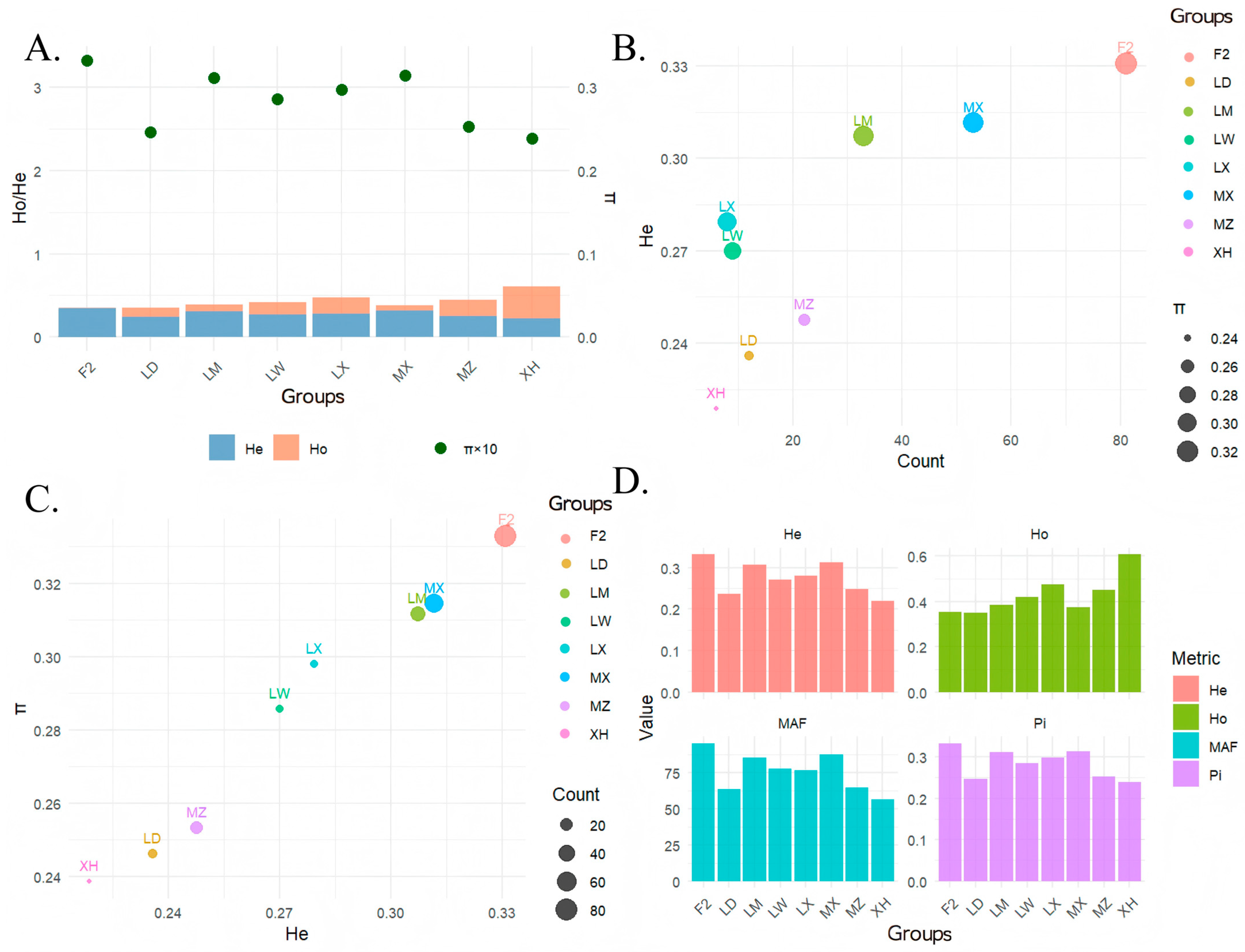 Genetic Diversity and Selection Signal Analysis of Xinjiang Black Pig ...