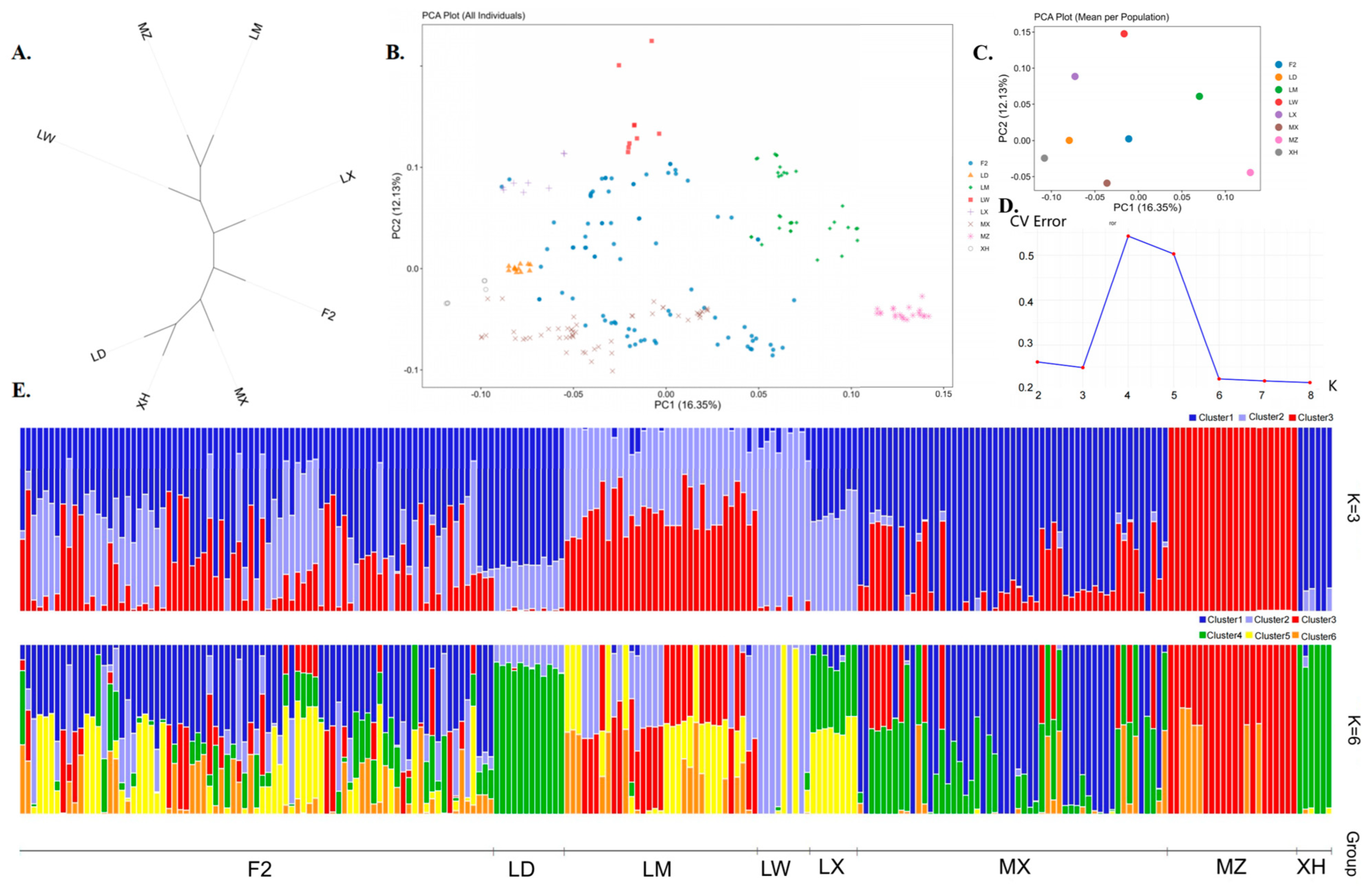 Genetic Diversity and Selection Signal Analysis of Xinjiang Black Pig ...