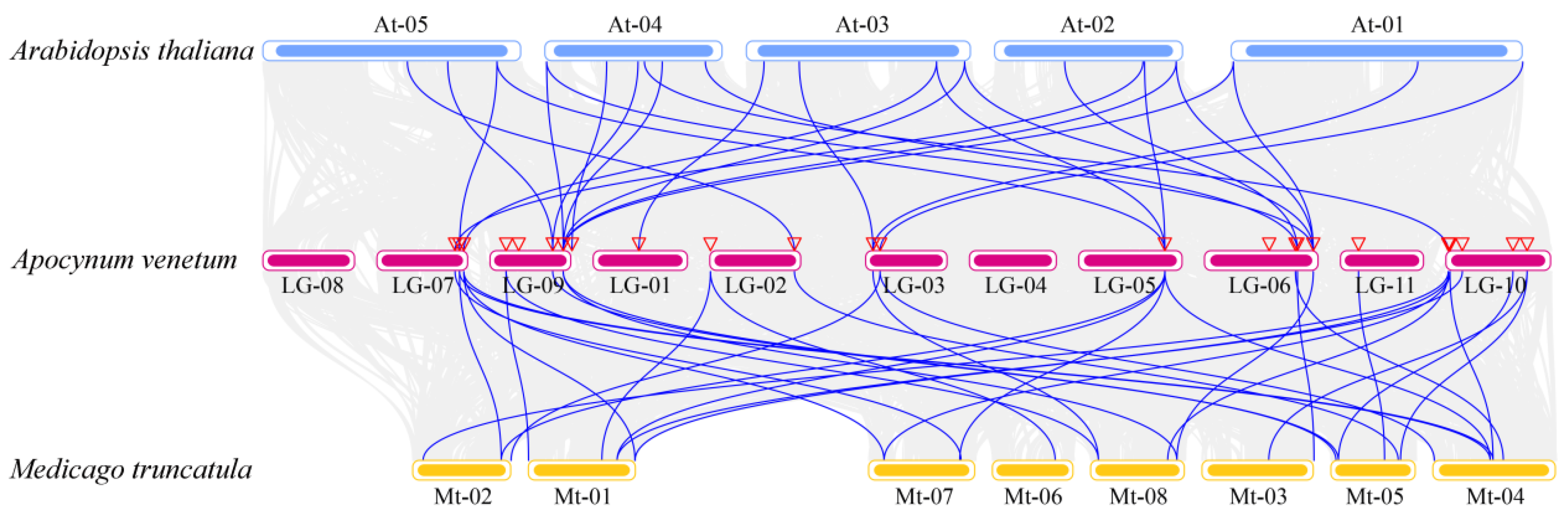 Physiological, Genome-Wide Characterization and Expression Analysis of ...