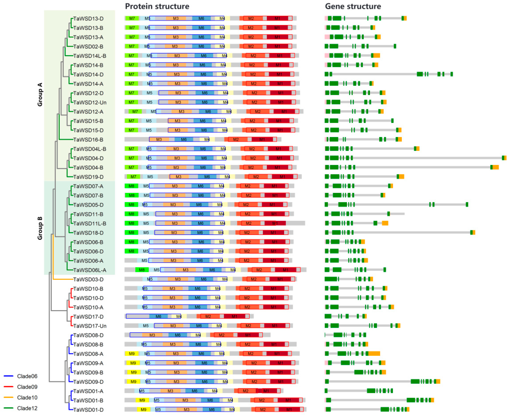 Genome-Wide Identification and Expression Analysis of the WSD Gene ...