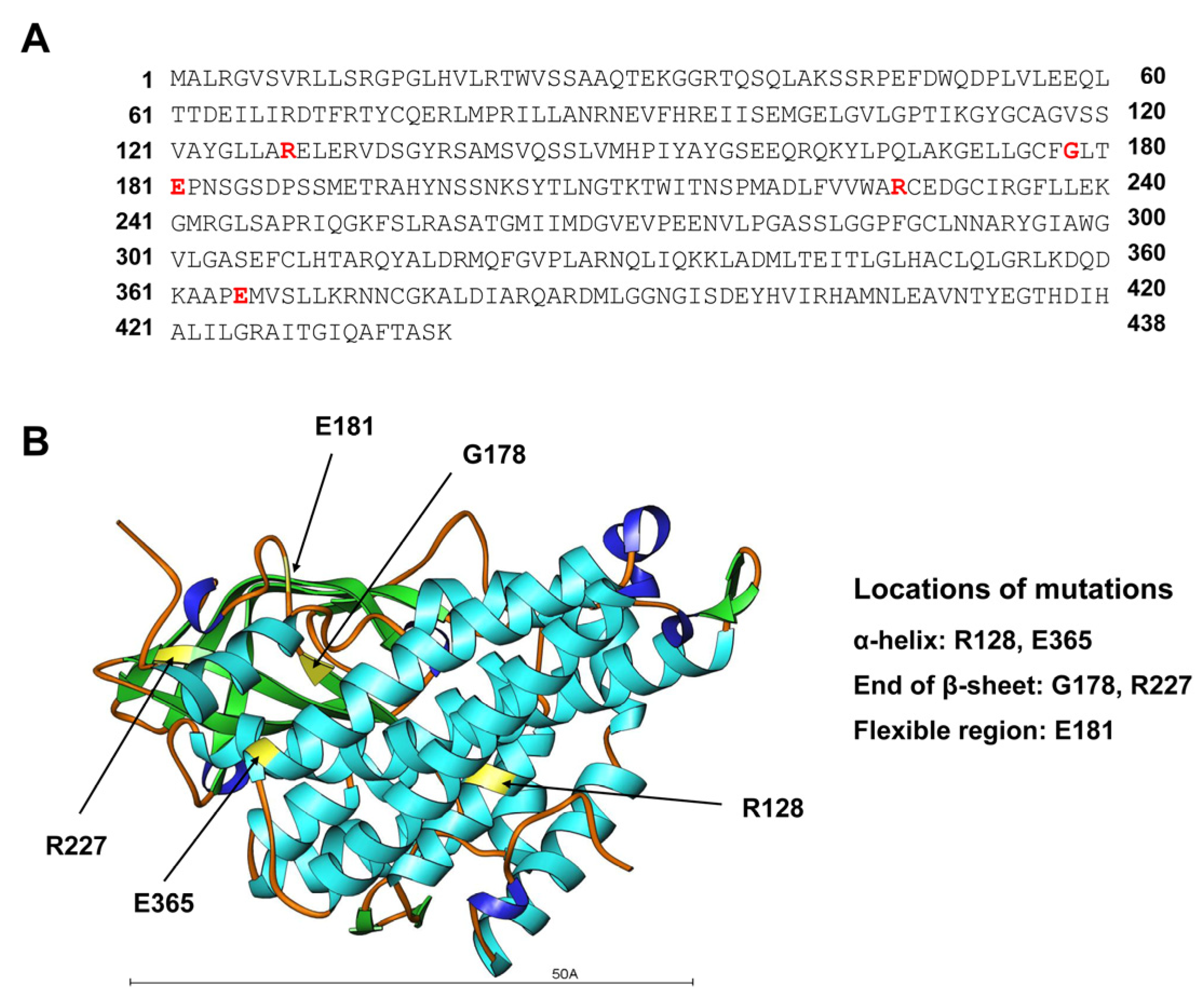 Infantile-Onset Glutaric Acidemia Type I with Mild Hepatopathy ...