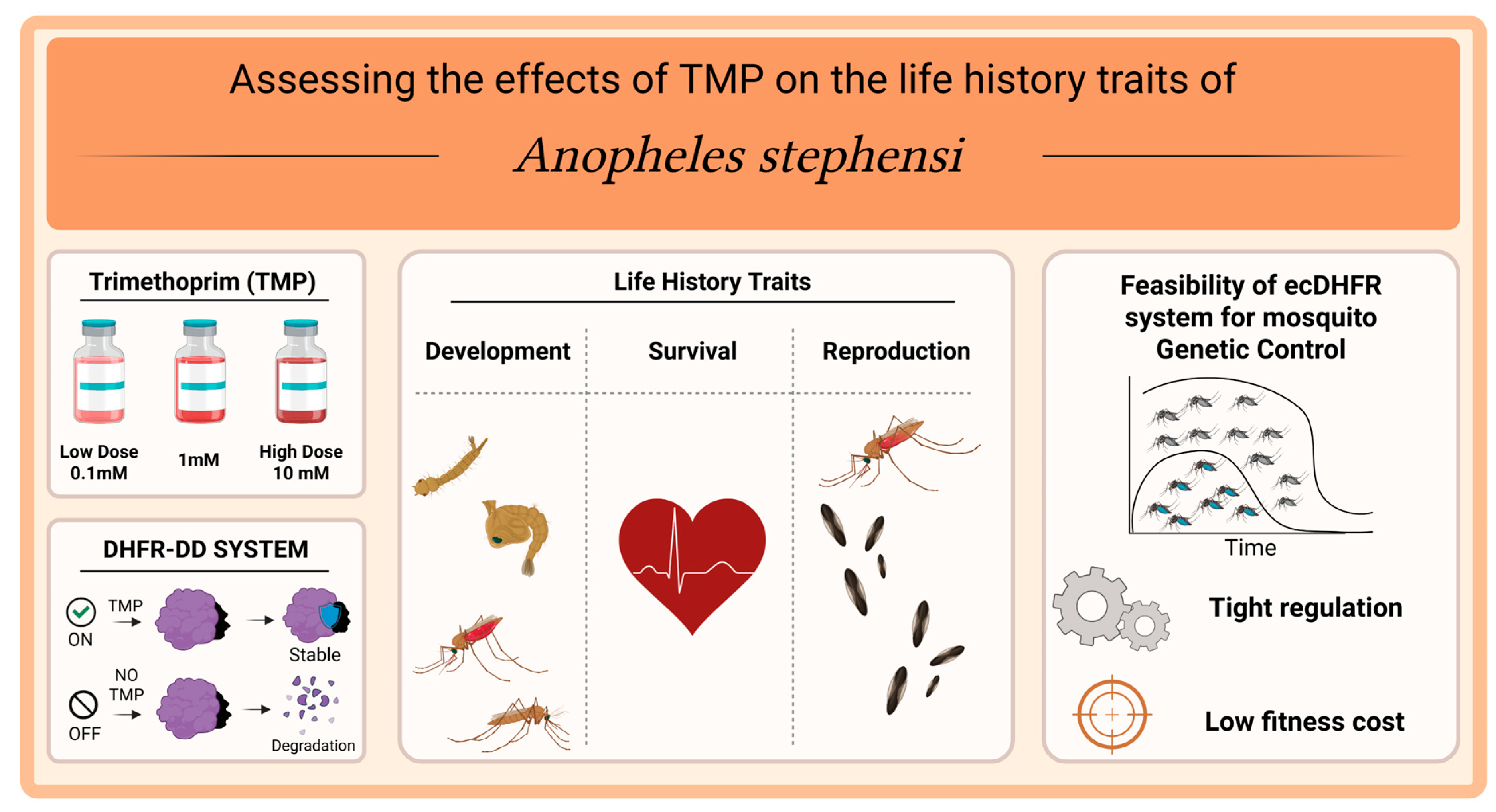 Assessing the Effects of Trimethoprim on the Life History Traits of ...