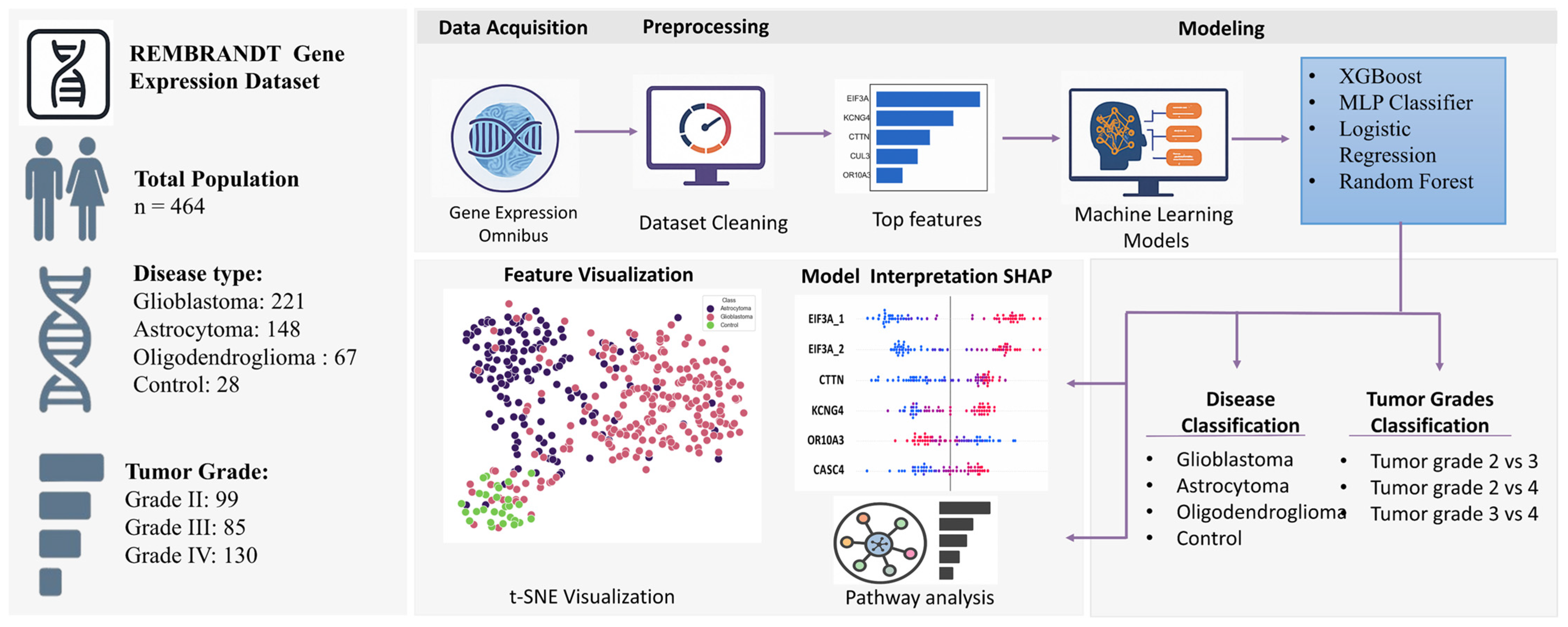 Machine Learning-Based Classification of Gliomas and Tumor Grades with ...